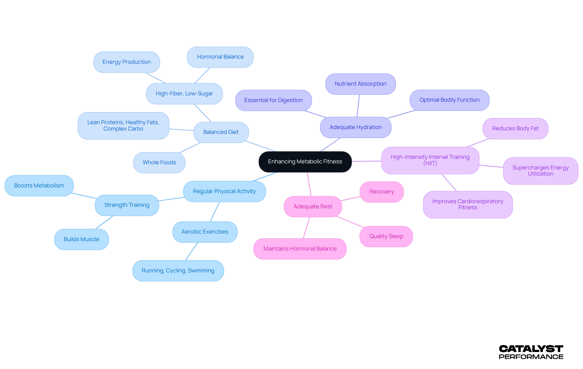 The central node represents the main goal of enhancing metabolic fitness. Each branch shows a specific strategy, and the sub-branches provide additional details or benefits related to that strategy. Follow the branches to explore how each strategy contributes to your overall health. The central node represents the main goal of enhancing metabolic fitness. Each branch shows a specific strategy, and the sub-branches provide additional details or benefits related to that strategy. Follow the branches to explore how each strategy contributes to your overall health.