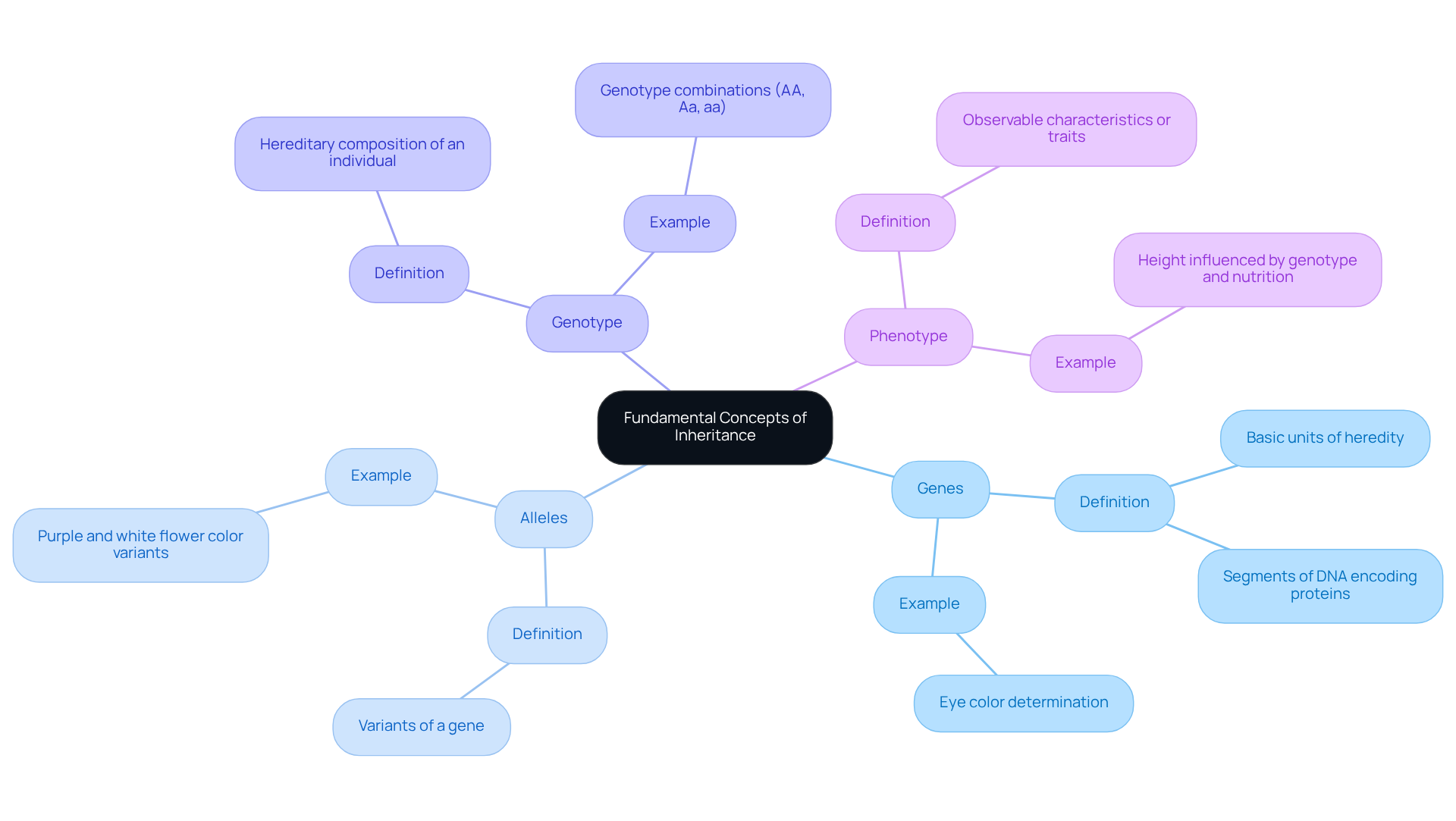 This mindmap starts with the central idea of inheritance and branches out into key concepts. Each branch represents a fundamental aspect of inheritance, helping you understand how they connect and contribute to genetic understanding. This mindmap starts with the central idea of inheritance and branches out into key concepts. Each branch represents a fundamental aspect of inheritance, helping you understand how they connect and contribute to genetic understanding.