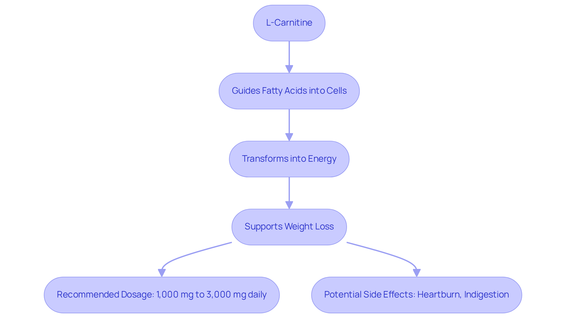 This flowchart illustrates how L-Carnitine works in your body. It starts with L-Carnitine helping fatty acids enter your cells, which then get turned into energy, ultimately supporting your weight loss journey. The dosage recommendations and side effects are also included to guide you. This flowchart illustrates how L-Carnitine works in your body. It starts with L-Carnitine helping fatty acids enter your cells, which then get turned into energy, ultimately supporting your weight loss journey. The dosage recommendations and side effects are also included to guide you.