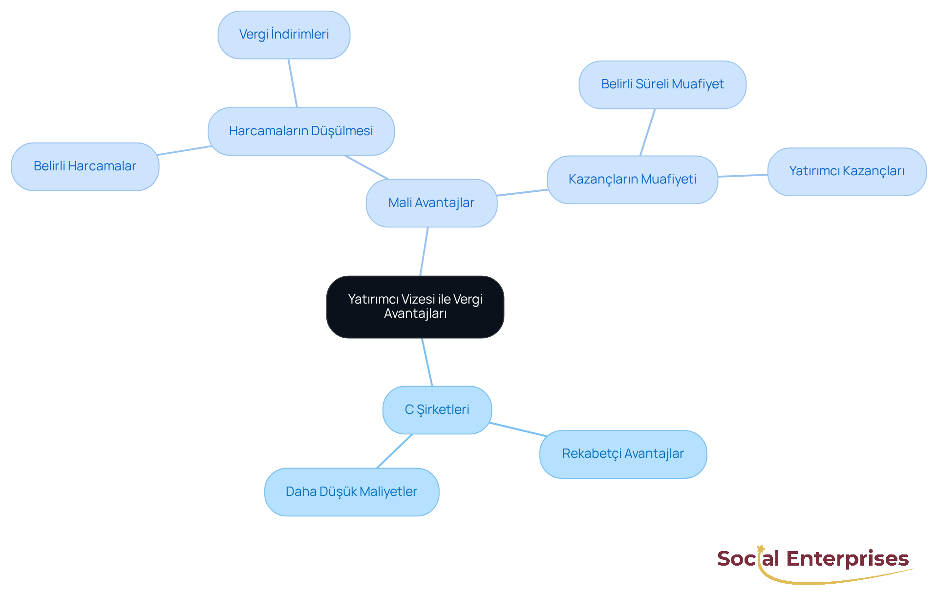 Merkezdeki ana kavramdan başlayarak, her dal vergi avantajlarının bir yönünü gösterir. Renkler, farklı avantajları ayırt etmeye yardımcı olur, böylece okuyucular hangi avantajların hangi alt başlıklarla ilişkili olduğunu kolayca görebilir. Merkezdeki ana kavramdan başlayarak, her dal vergi avantajlarının bir yönünü gösterir. Renkler, farklı avantajları ayırt etmeye yardımcı olur, böylece okuyucular hangi avantajların hangi alt başlıklarla ilişkili olduğunu kolayca görebilir.