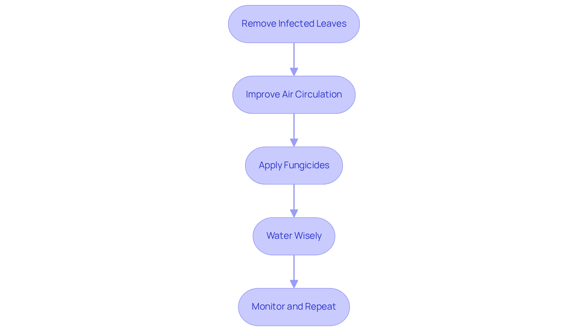 Follow the arrows from one step to the next to see how to manage leaf spot disease effectively. Each box represents an important action you can take to keep your plants healthy.