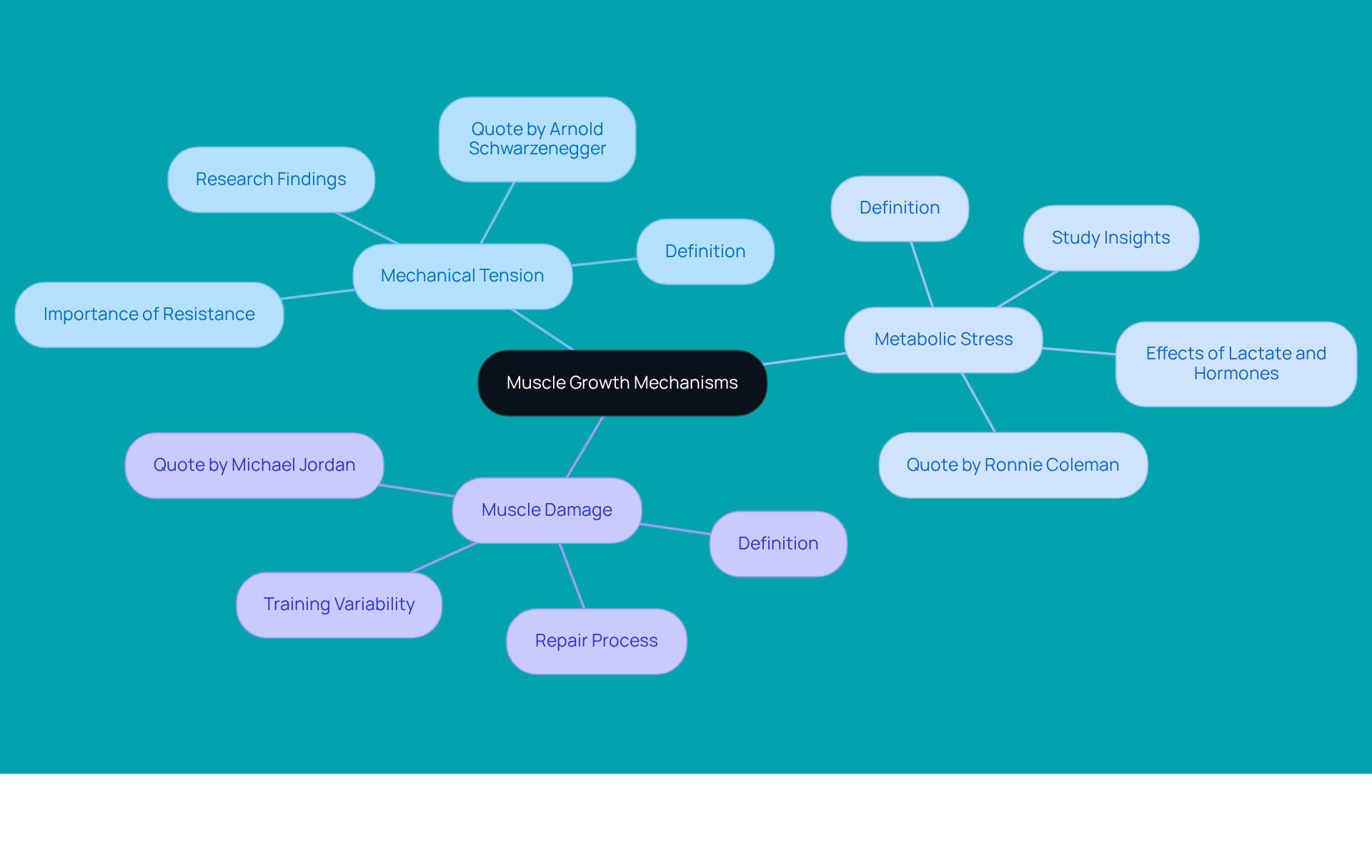 The central node represents the overall theme of muscle growth, while the branches show the key mechanisms involved. Each branch explains a different aspect of how muscles grow, helping you understand the bigger picture of hypertrophy.