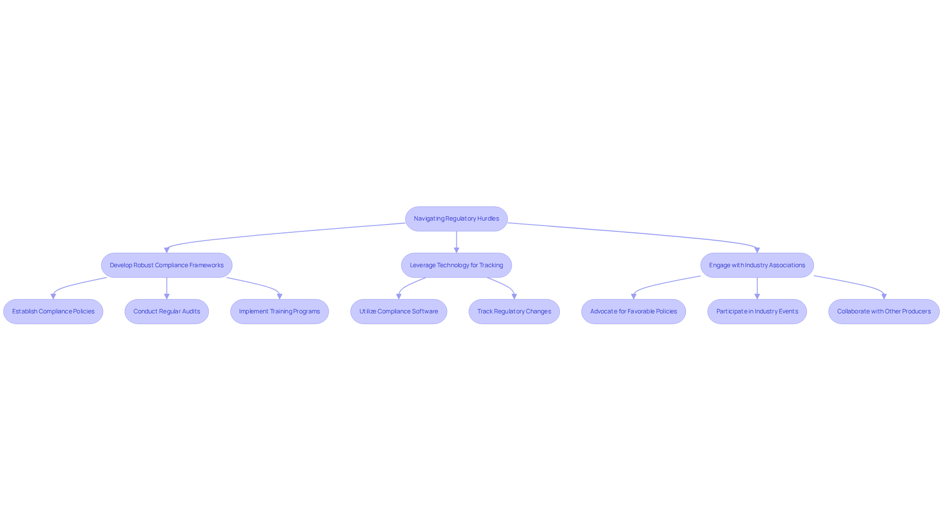 This flowchart shows the steps and strategies wineries can take to comply with regulations. Each box represents a strategy or action that contributes to successful navigation of the regulatory landscape.