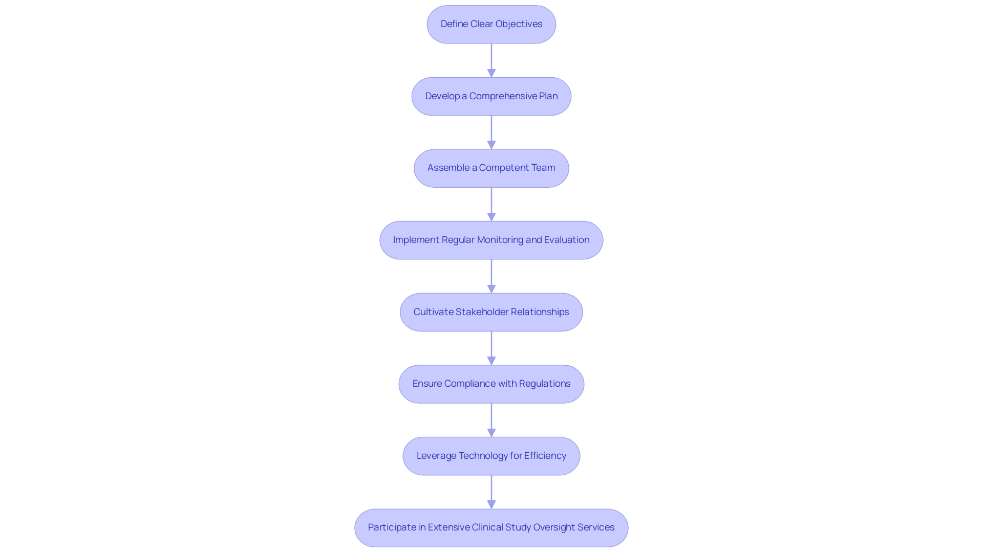 Each box represents a specific strategy in the project management process, and the arrows indicate the flow from one strategy to the next.