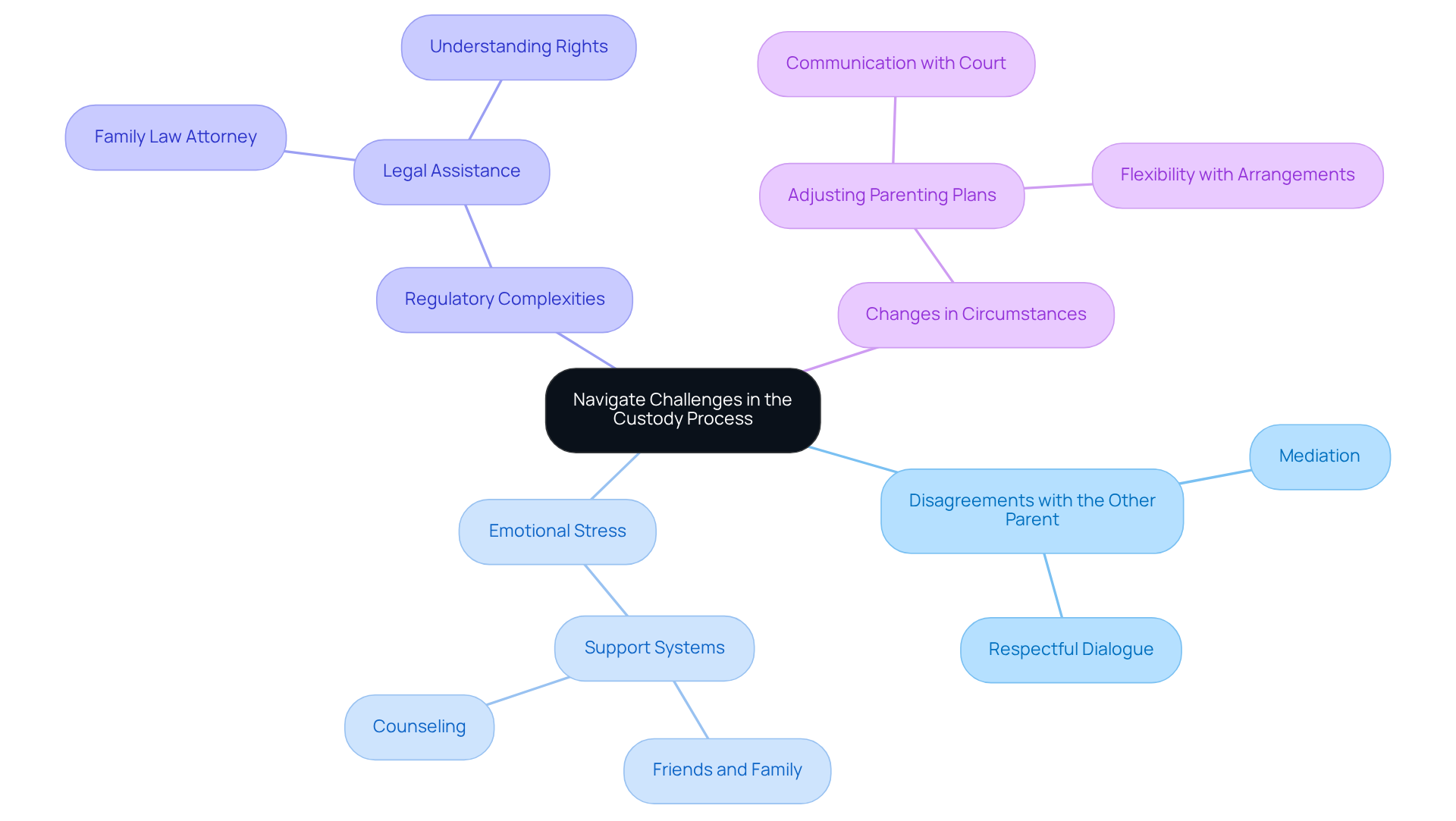 This mindmap helps you see the main challenges in the custody process and the strategies to handle them. Each branch represents a different challenge, and the sub-branches show how to address those challenges effectively.