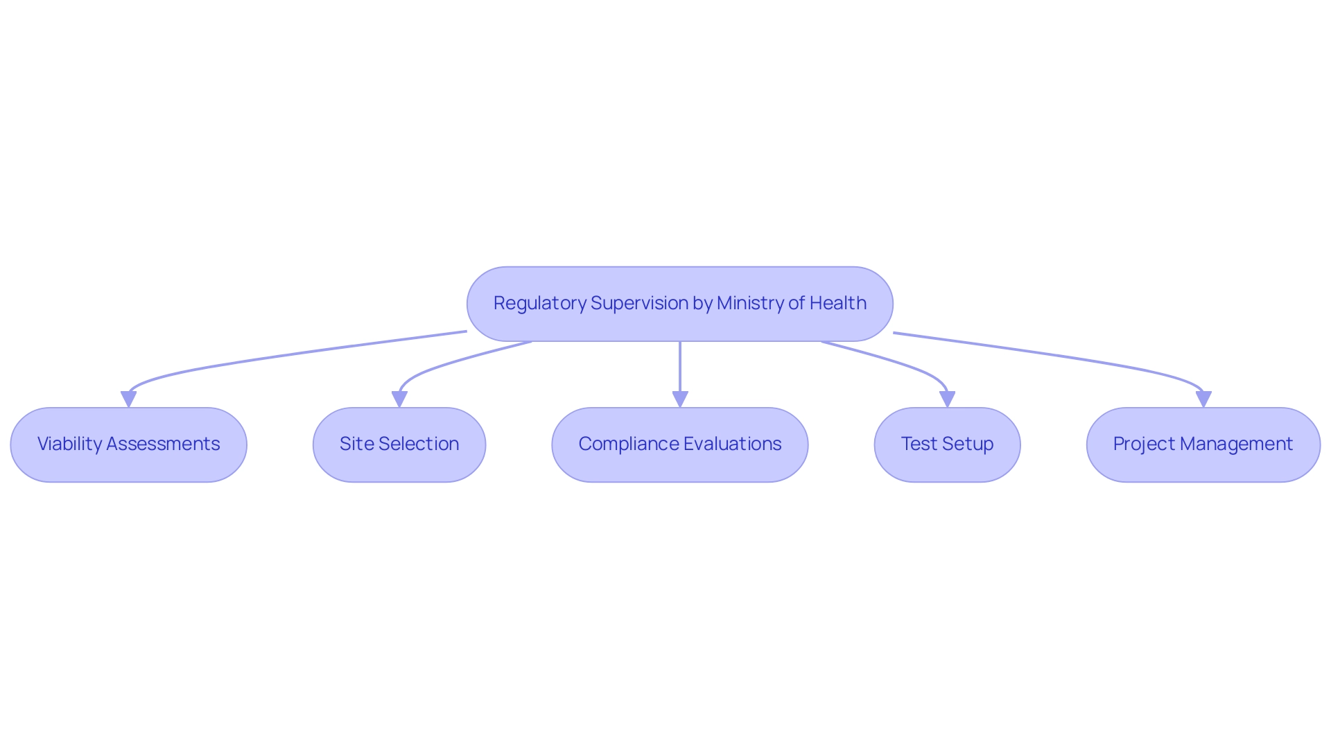 Each box represents a key service or step in the regulatory process, with colors indicating the category of actions (assessments, compliance, management).