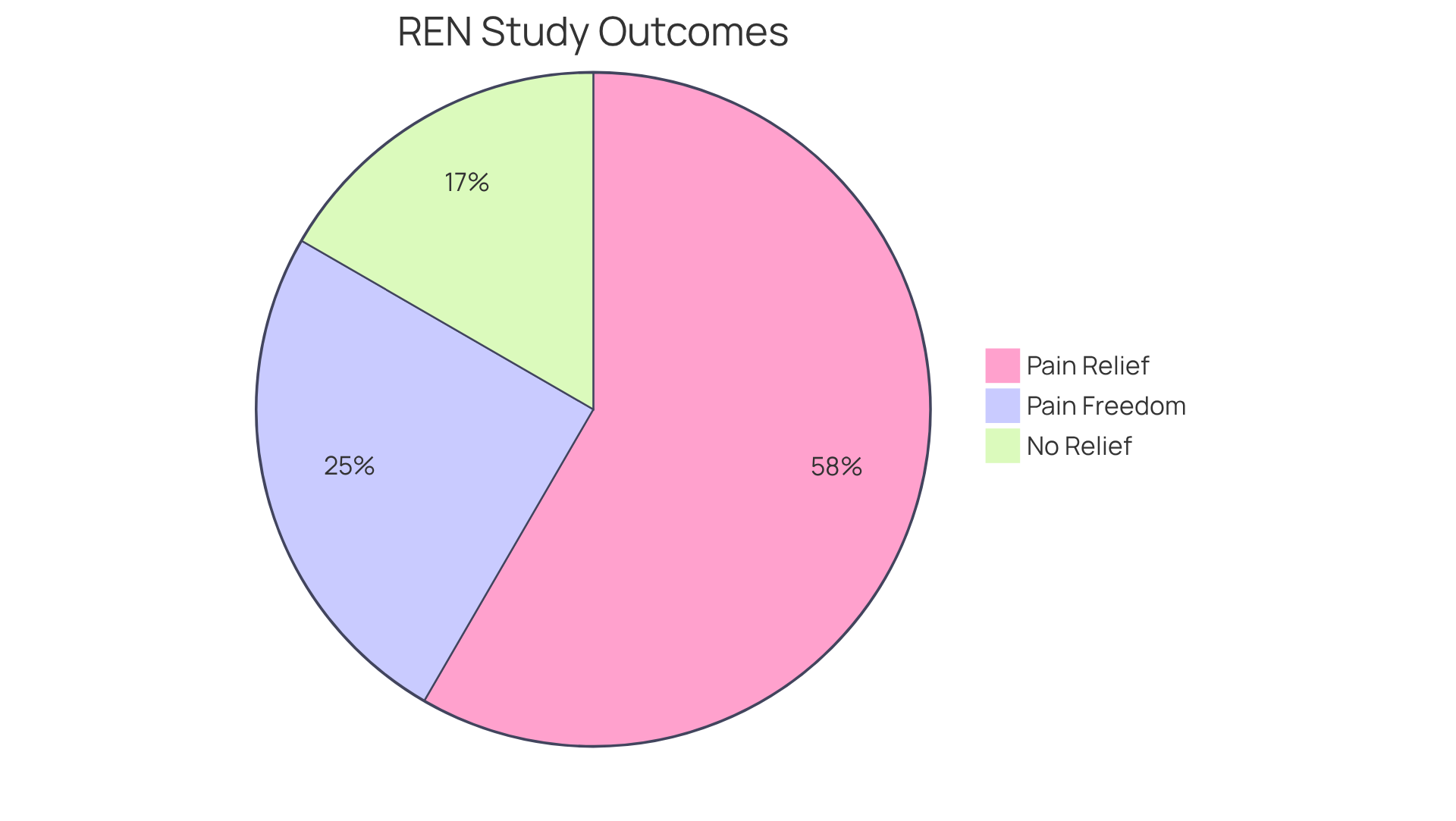 This pie chart shows how many participants found relief from migraines after using REN therapy. The bigger the slice, the more people experienced that level of relief. Blue represents those who felt pain relief, green shows those who were completely pain-free, and gray indicates those who did not find relief.