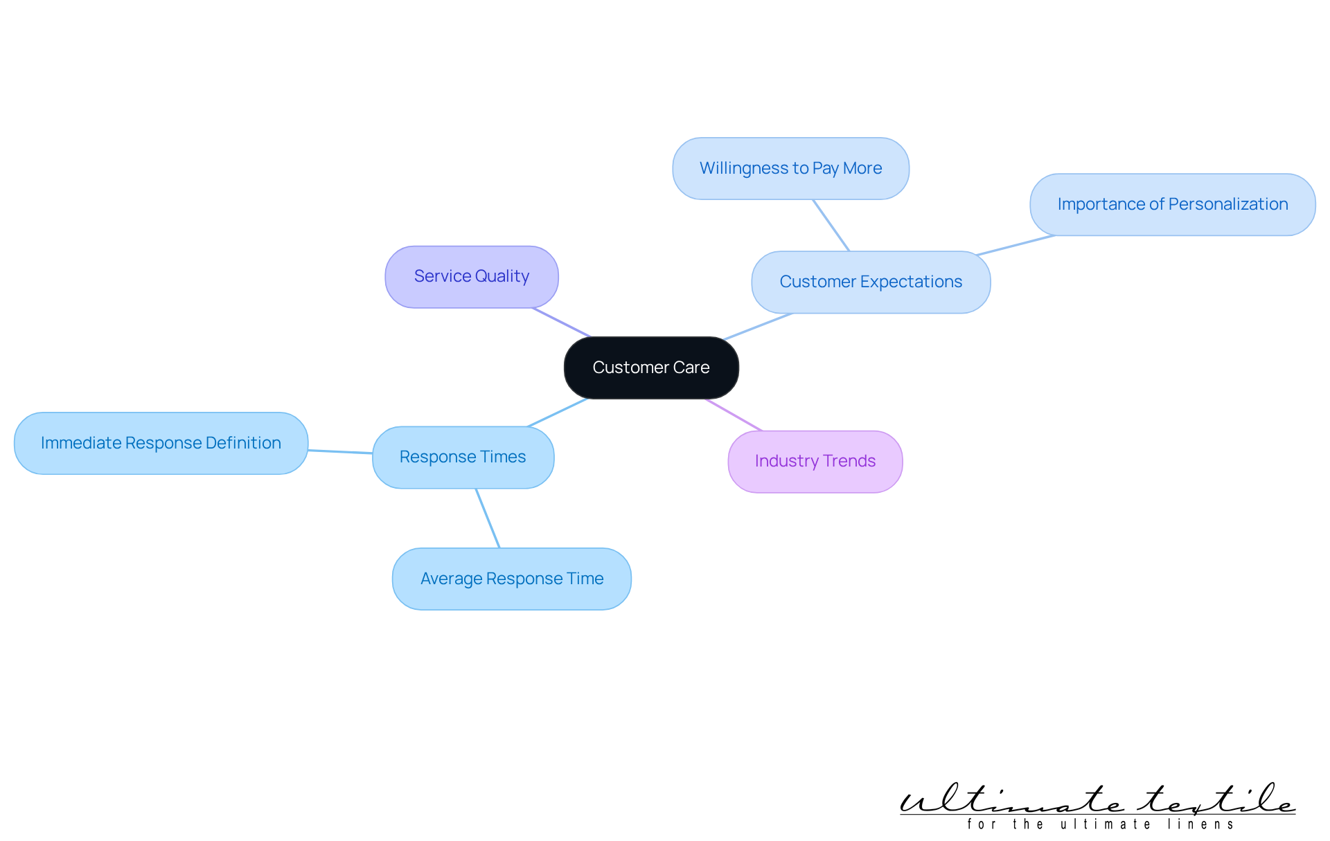 Start at the center with 'Customer Care', then explore how response times, customer expectations, and service quality connect to create a better experience for clients.