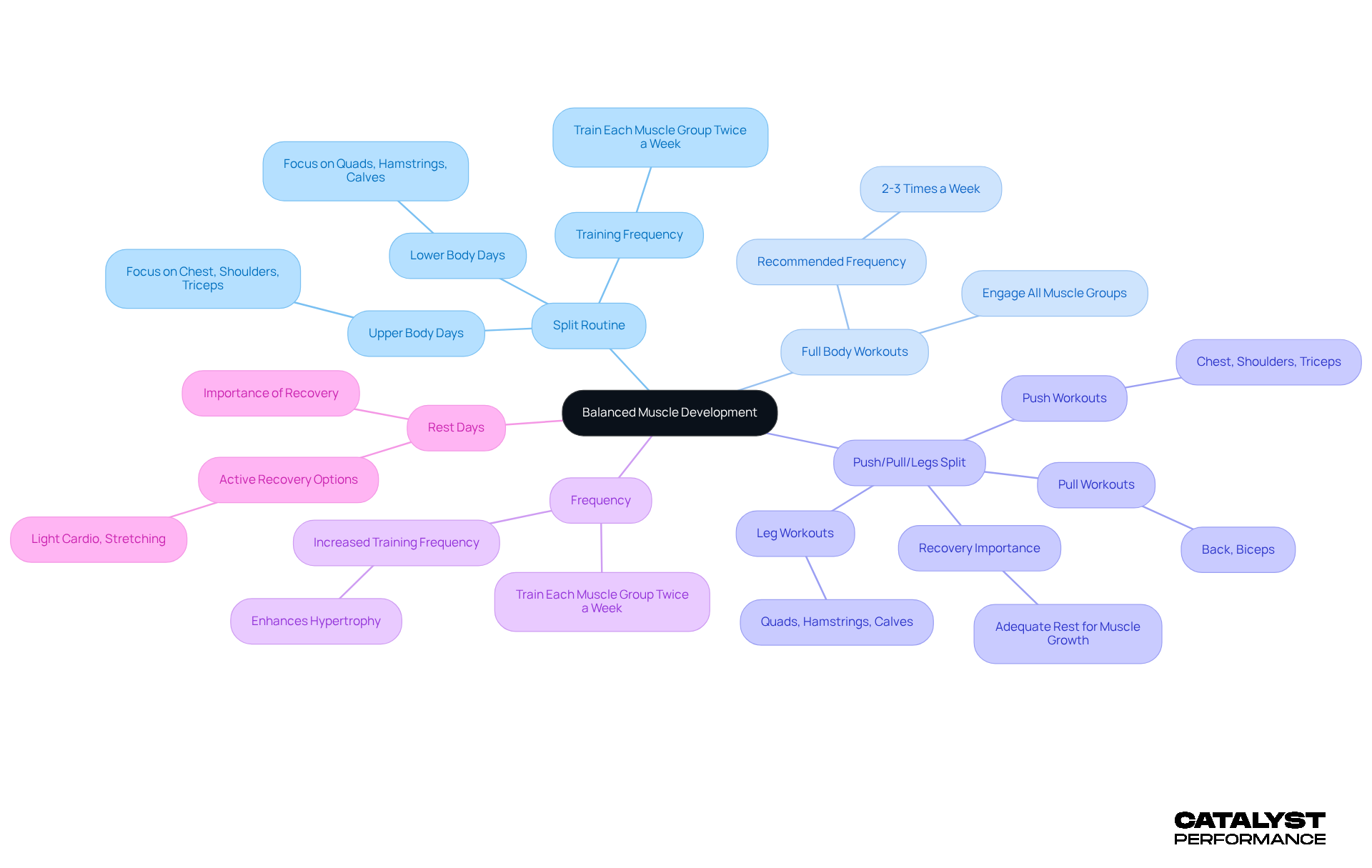 The central node represents the main goal of balanced muscle development. Each branch shows a different workout strategy, with sub-branches providing details on how to implement each method effectively.