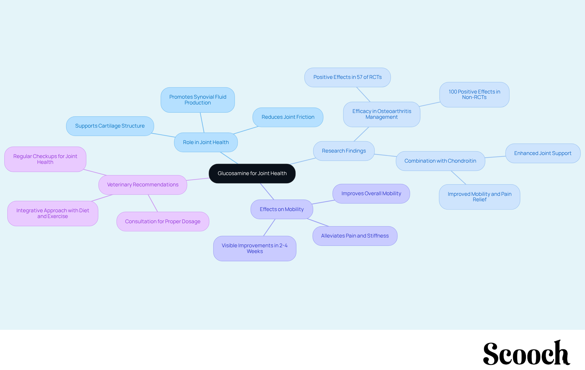 At the center, you'll find glucosamine's key role in joint health, and as you follow the branches, you will discover its benefits, research backing, and expert opinions, helping you understand its importance for your dog's well-being.
