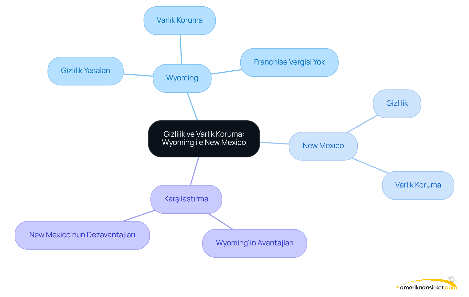 Merkezdeki başlık, iki eyaletin gizlilik ve varlık koruma yasalarını karşılaştırıyor. Dallar, her eyaletin sunduğu avantajları ve dezavantajları gösteriyor. Renkler, farklı konuları ayırt etmek için kullanılıyor.
