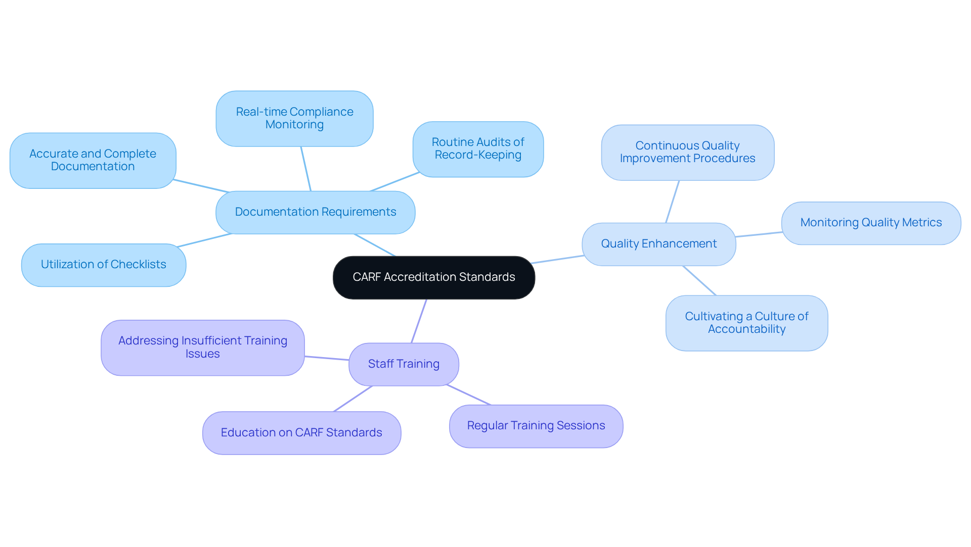 The central node represents the overall accreditation standards, while the branches show key focus areas. Each sub-branch provides more detail on what organizations need to do to comply with CARF guidelines.