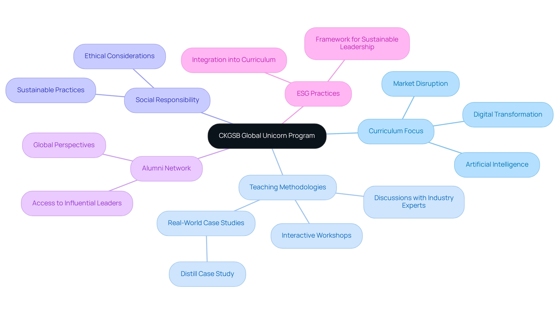 Each branch represents a major area of focus within the program, with sub-branches detailing specific components related to each area.