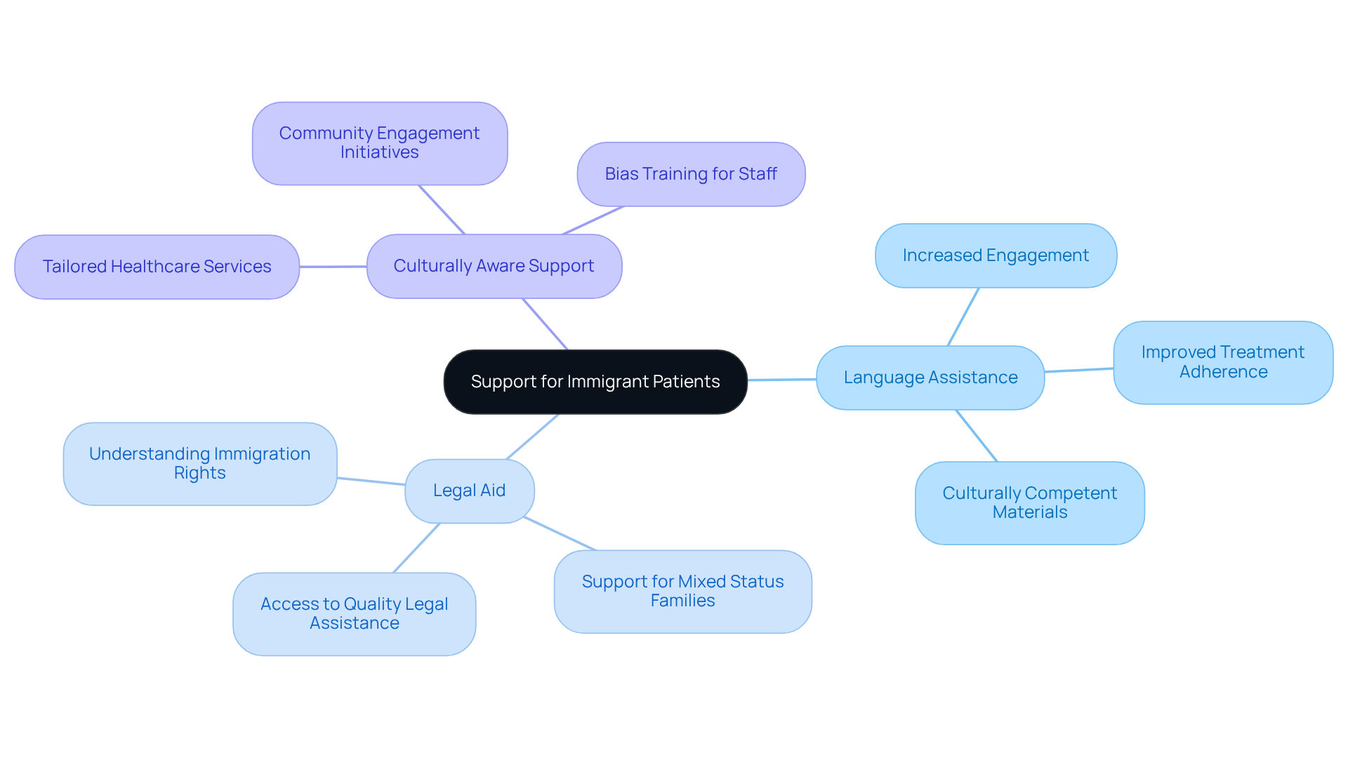 This mindmap starts with the main focus on immigrant patient support, branching out into specific service areas that help improve healthcare access and outcomes.