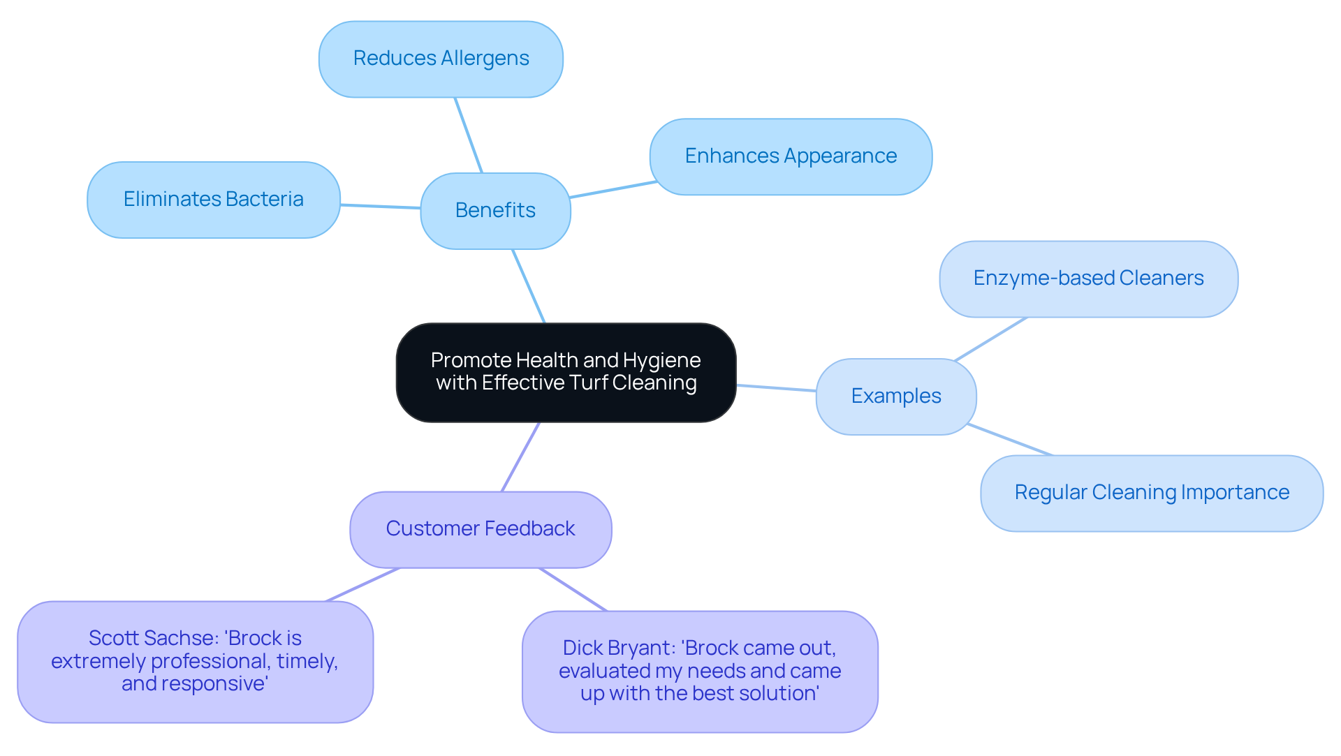 The central idea is about turf cleaning, with branches showing its benefits, examples of effective cleaners, and what customers say about the service. Each branch helps you understand different aspects of maintaining a healthy lawn. The central idea is about turf cleaning, with branches showing its benefits, examples of effective cleaners, and what customers say about the service. Each branch helps you understand different aspects of maintaining a healthy lawn.