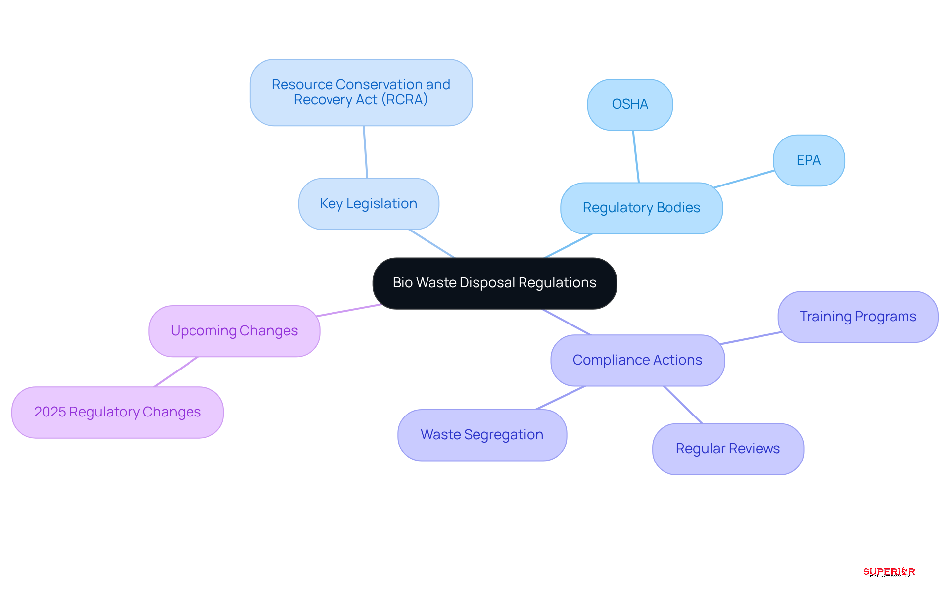 The central node represents the main topic of bio waste disposal regulations. The branches show the different regulatory bodies and laws, while the sub-branches detail the actions healthcare centers should take to comply. Follow the branches to understand how everything connects. The central node represents the main topic of bio waste disposal regulations. The branches show the different regulatory bodies and laws, while the sub-branches detail the actions healthcare centers should take to comply. Follow the branches to understand how everything connects.