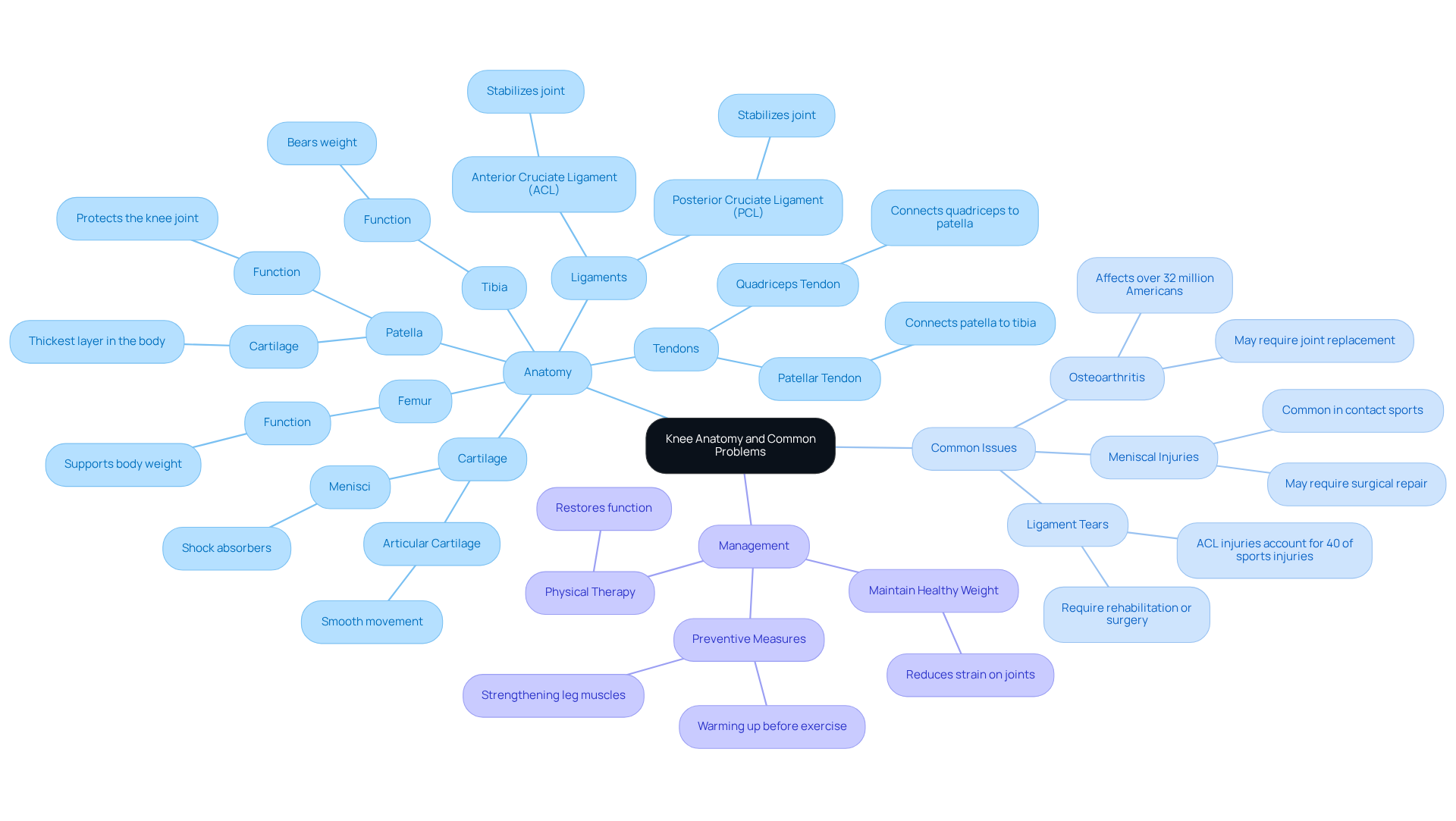 This mindmap starts with the central theme of knee anatomy and branches out to show the different parts of the knee and common issues. Each branch represents a key area, and the sub-branches provide more detail. This layout helps you see how everything is connected and understand the importance of each component in maintaining joint health. This mindmap starts with the central theme of knee anatomy and branches out to show the different parts of the knee and common issues. Each branch represents a key area, and the sub-branches provide more detail. This layout helps you see how everything is connected and understand the importance of each component in maintaining joint health.