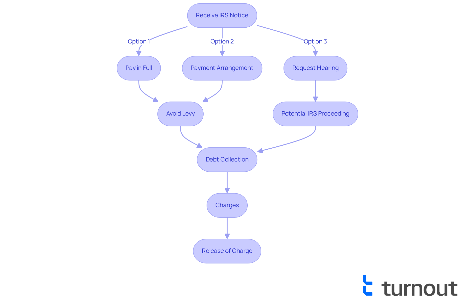 Follow the arrows to see what you should do after receiving an IRS notice. Each box represents an action or decision point, guiding you through the process and showing potential outcomes. Follow the arrows to see what you should do after receiving an IRS notice. Each box represents an action or decision point, guiding you through the process and showing potential outcomes.