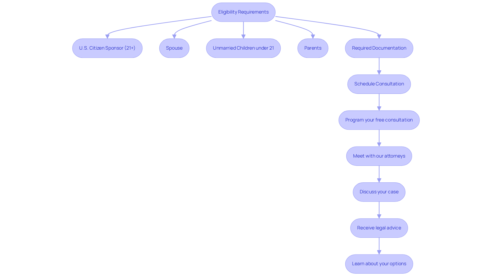 Follow the arrows to see the steps for applying for an immediate relative visa and how to schedule a consultation. Each box represents a key action or requirement in the process.
