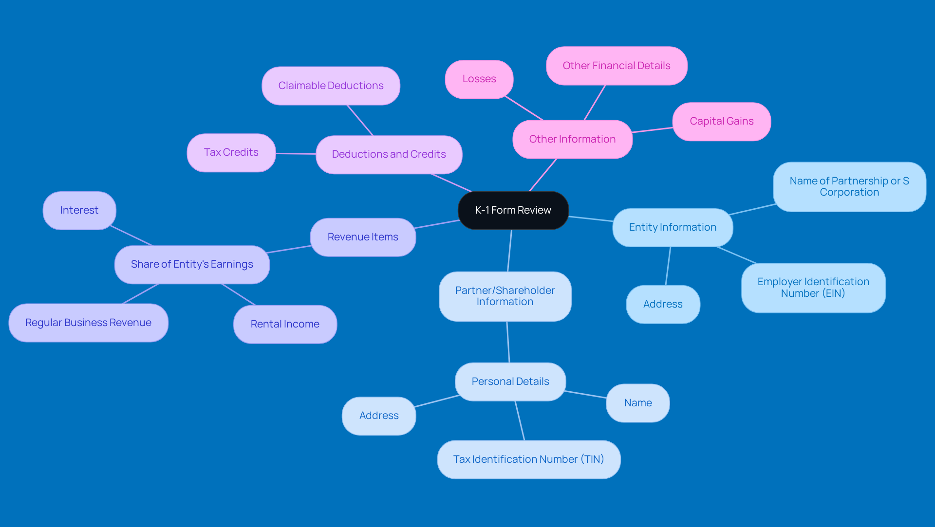 The center represents the K-1 form, and each branch shows a key area to check. Follow the branches to see what details you need to pay attention to for accurate tax reporting.
