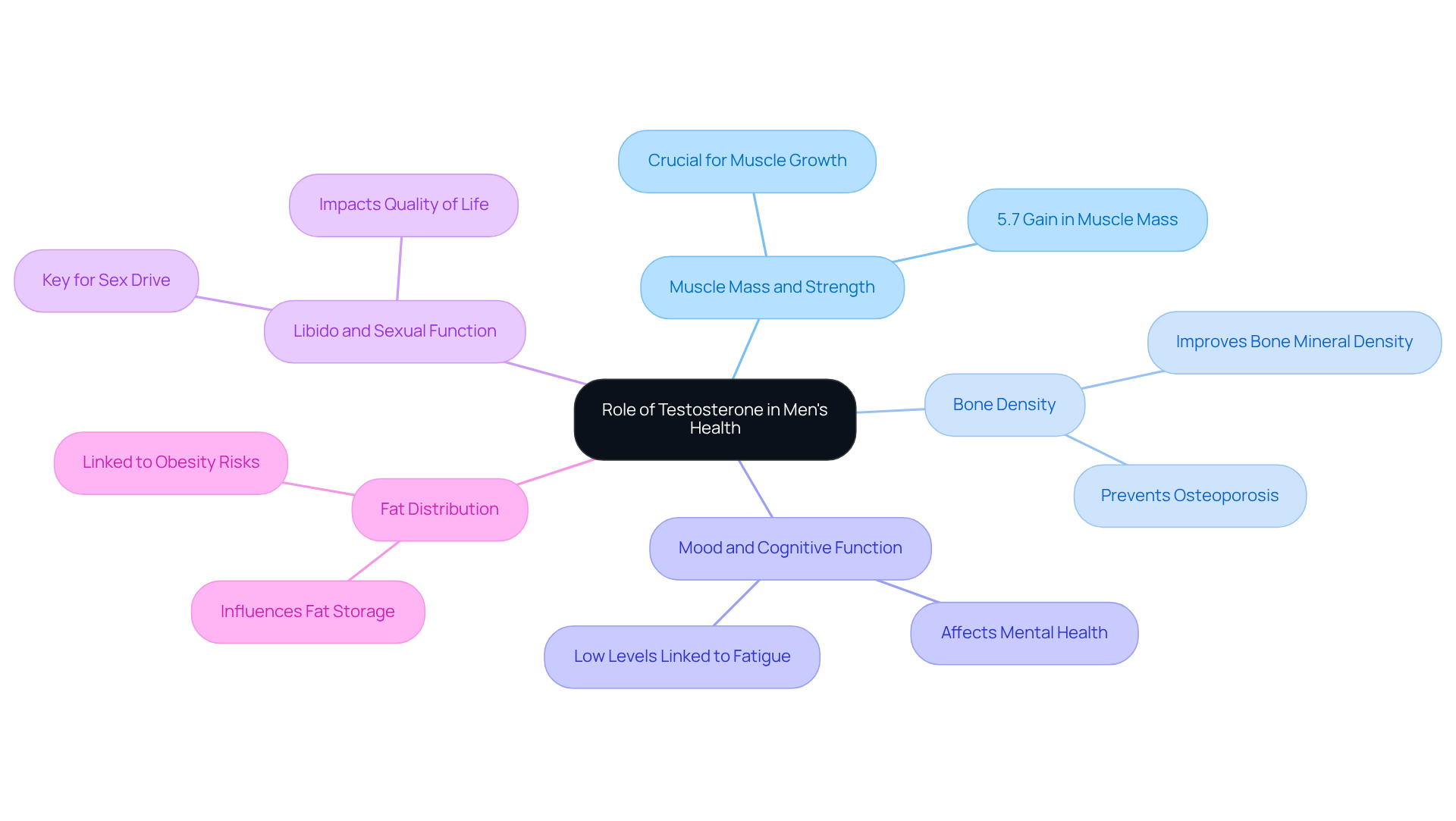 The central node represents testosterone's role, while the branches show its specific effects on health. Each color-coded branch highlights a different aspect, making it easy to see how testosterone influences various areas of well-being. The central node represents testosterone's role, while the branches show its specific effects on health. Each color-coded branch highlights a different aspect, making it easy to see how testosterone influences various areas of well-being.