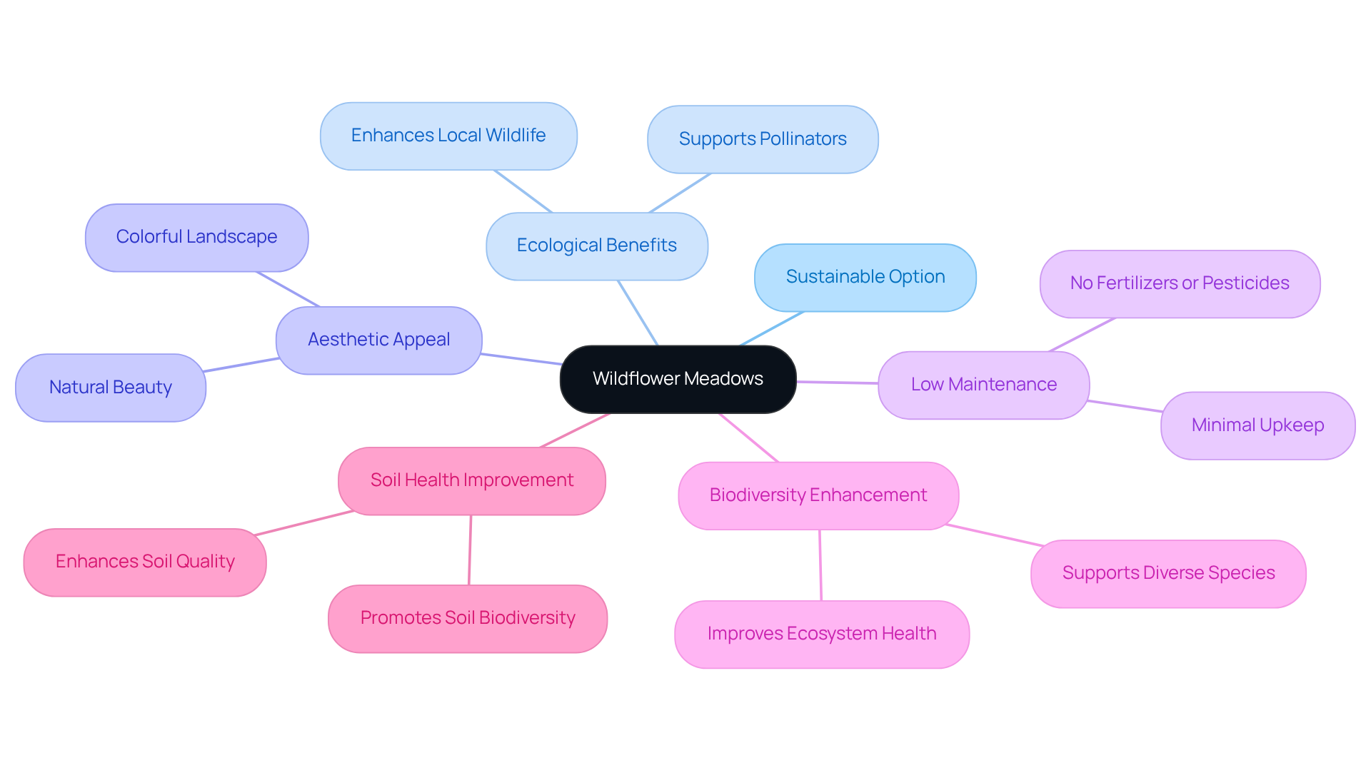 This mindmap shows how wildflower meadows can benefit your garden and the environment. Each branch represents a different advantage, helping you see why they are a great choice for a colorful and low-maintenance lawn. This mindmap shows how wildflower meadows can benefit your garden and the environment. Each branch represents a different advantage, helping you see why they are a great choice for a colorful and low-maintenance lawn.