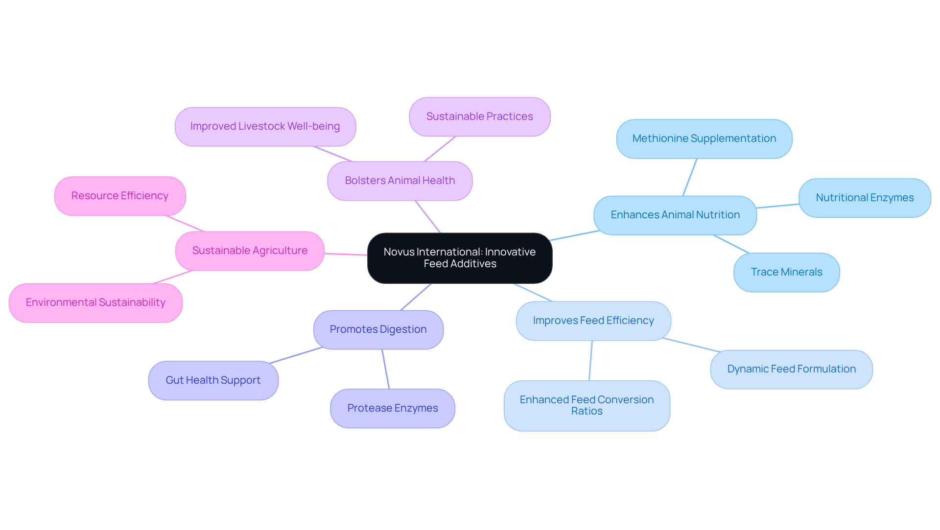 The center represents Novus International's focus on innovative feed additives. Each branch shows a benefit or outcome, helping you see how these additives contribute to better animal health and sustainable farming.
