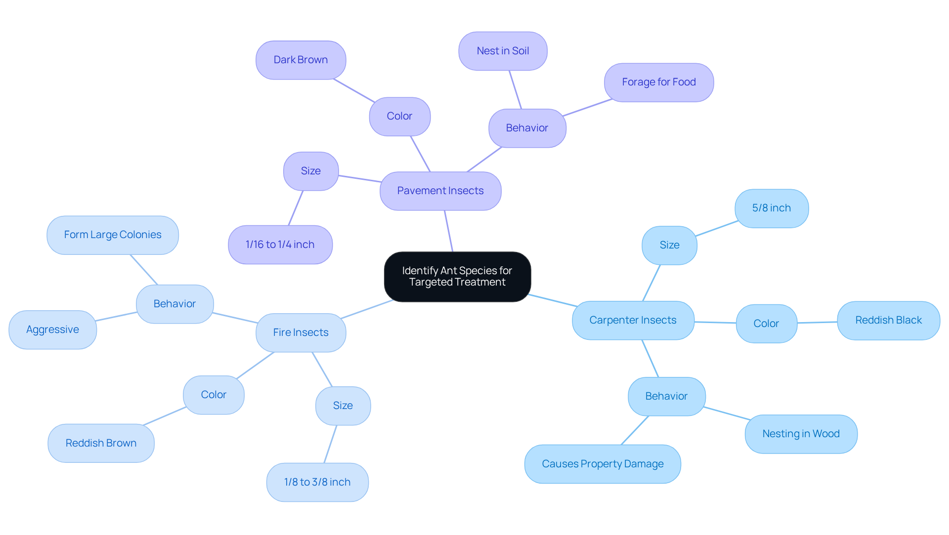 Begin at the center with the main topic of ant identification, then explore each branch to learn about specific species and their unique traits. This will help you understand how to manage infestations effectively.