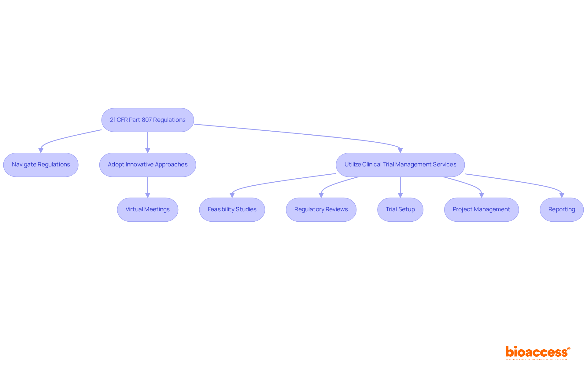 Follow the flow from regulations to actions — each box shows a step directors can take to comply with the regulations and improve their trial success.