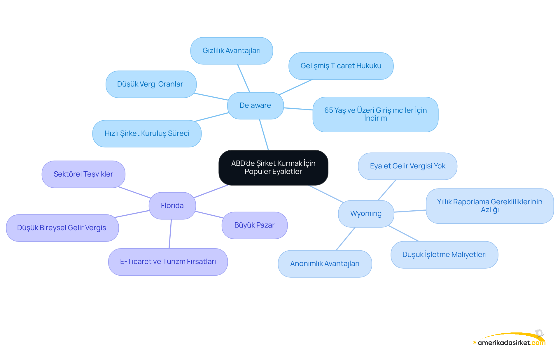 Merkezdeki başlık, iş kurmak için popüler eyaletleri gösteriyor. Dallar, her eyaletin avantajlarını temsil ediyor. Renkler, her eyaletin farklı özelliklerini ayırt etmemize yardımcı oluyor.