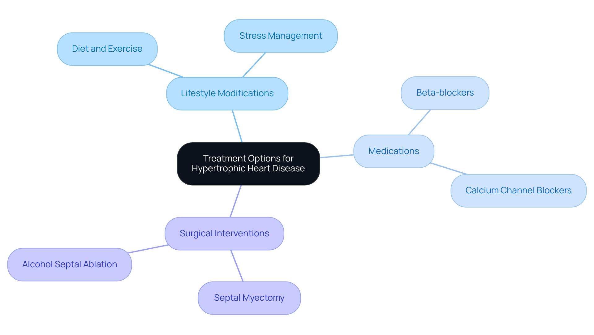 The central node represents the overall treatment approach, while the branches show specific areas of focus. Each category contains actionable items that help manage hypertrophic heart disease, emphasizing the collaborative effort required for effective care.