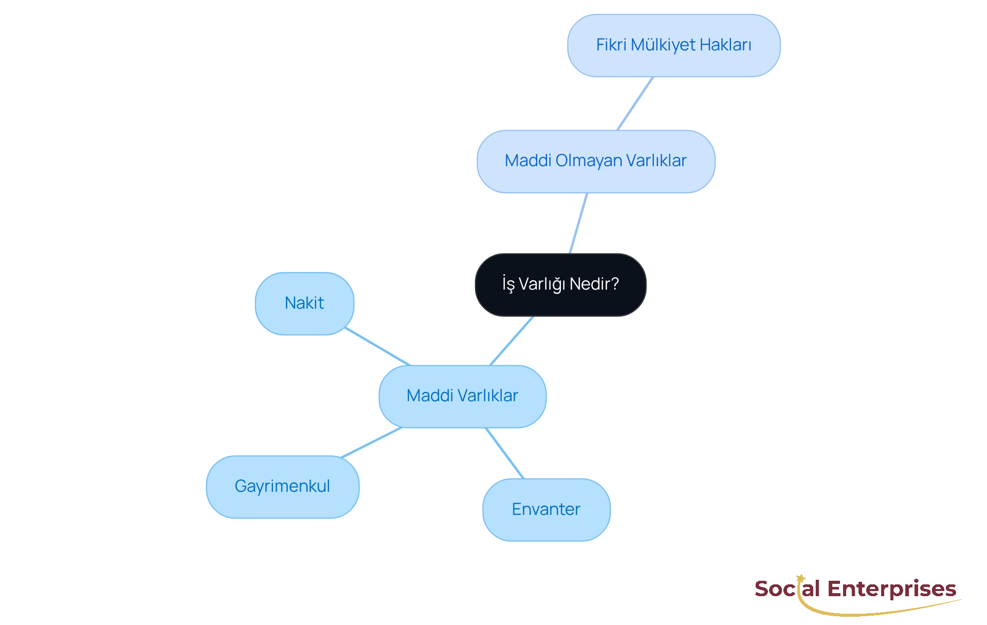 Merkezdeki kavram, iş varlığının tanımını ifade ediyor. Dallar, iş varlıklarının türlerini ve yönetim stratejilerini gösteriyor. Renkli dallar, her bir varlık türünün farklılığını ve önemini vurguluyor.