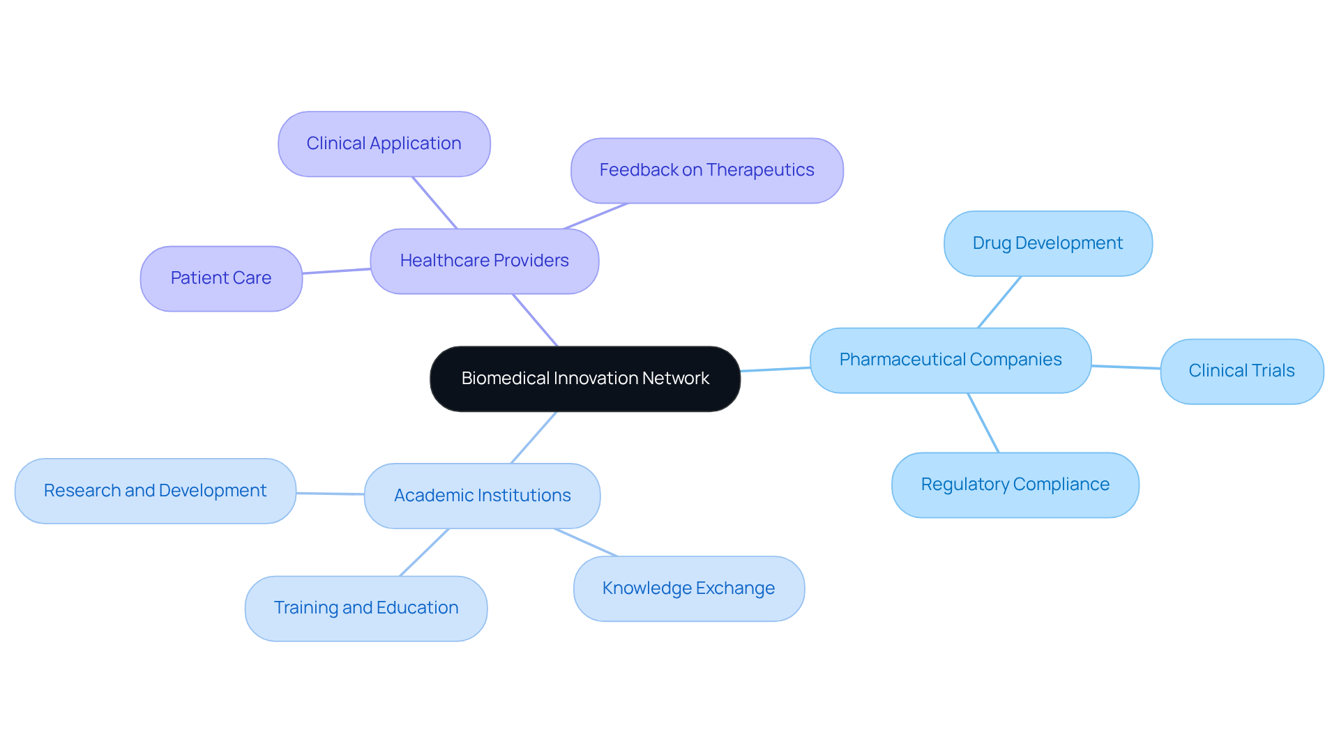 The center represents the network, while the branches show the key players involved. Each branch highlights how these stakeholders work together to speed up drug development.