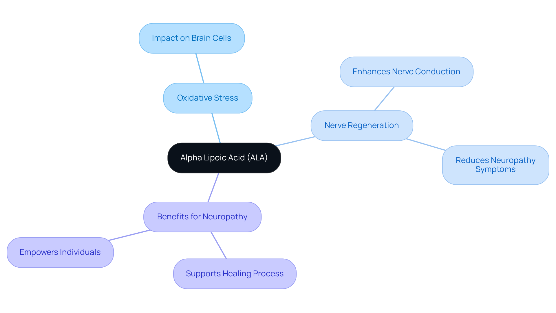 The center represents ALA, with branches showing how it relates to oxidative stress and nerve health. Each branch highlights important aspects of ALA's role in supporting nerve regeneration and alleviating neuropathy symptoms.
