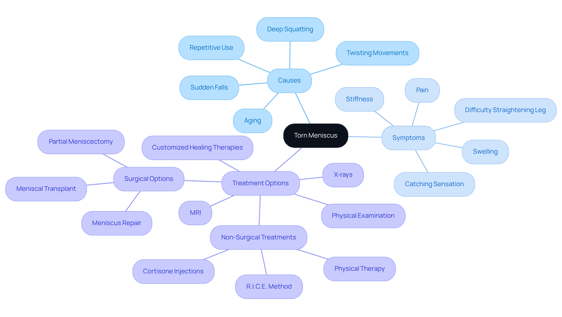 The central node represents the torn meniscus, while the branches show the causes, symptoms, and treatment options. Each branch breaks down into specific details, helping you see how everything connects. The central node represents the torn meniscus, while the branches show the causes, symptoms, and treatment options. Each branch breaks down into specific details, helping you see how everything connects.