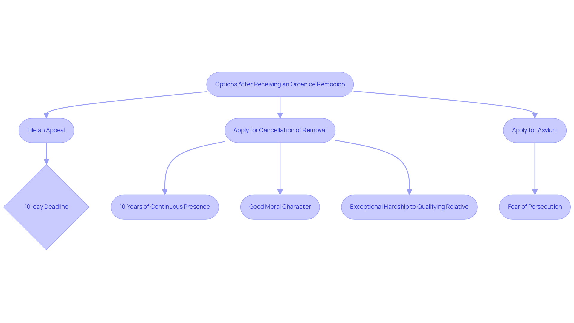 This flowchart shows the choices you have after receiving an orden de remocion. Each branch represents a different option you can take, with important details like deadlines and requirements to help guide your decisions.