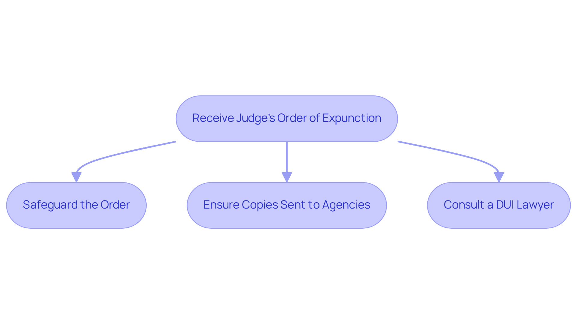 This flowchart outlines the key steps after receiving the expunction order. Follow the arrows to understand what to do next, from keeping the order safe to consulting a lawyer for guidance. This flowchart outlines the key steps after receiving the expunction order. Follow the arrows to understand what to do next, from keeping the order safe to consulting a lawyer for guidance.