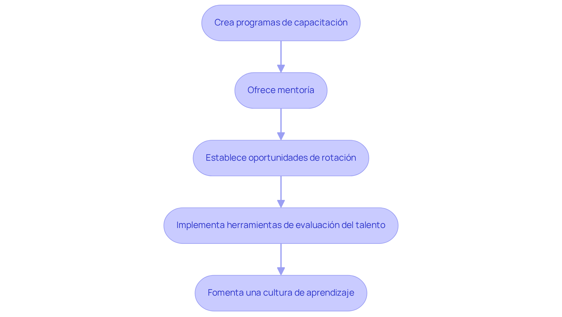 Cada caja representa un paso en el proceso de desarrollo. Sigue las flechas para ver cómo cada acción se conecta con la siguiente y contribuye al éxito del plan de sucesión.