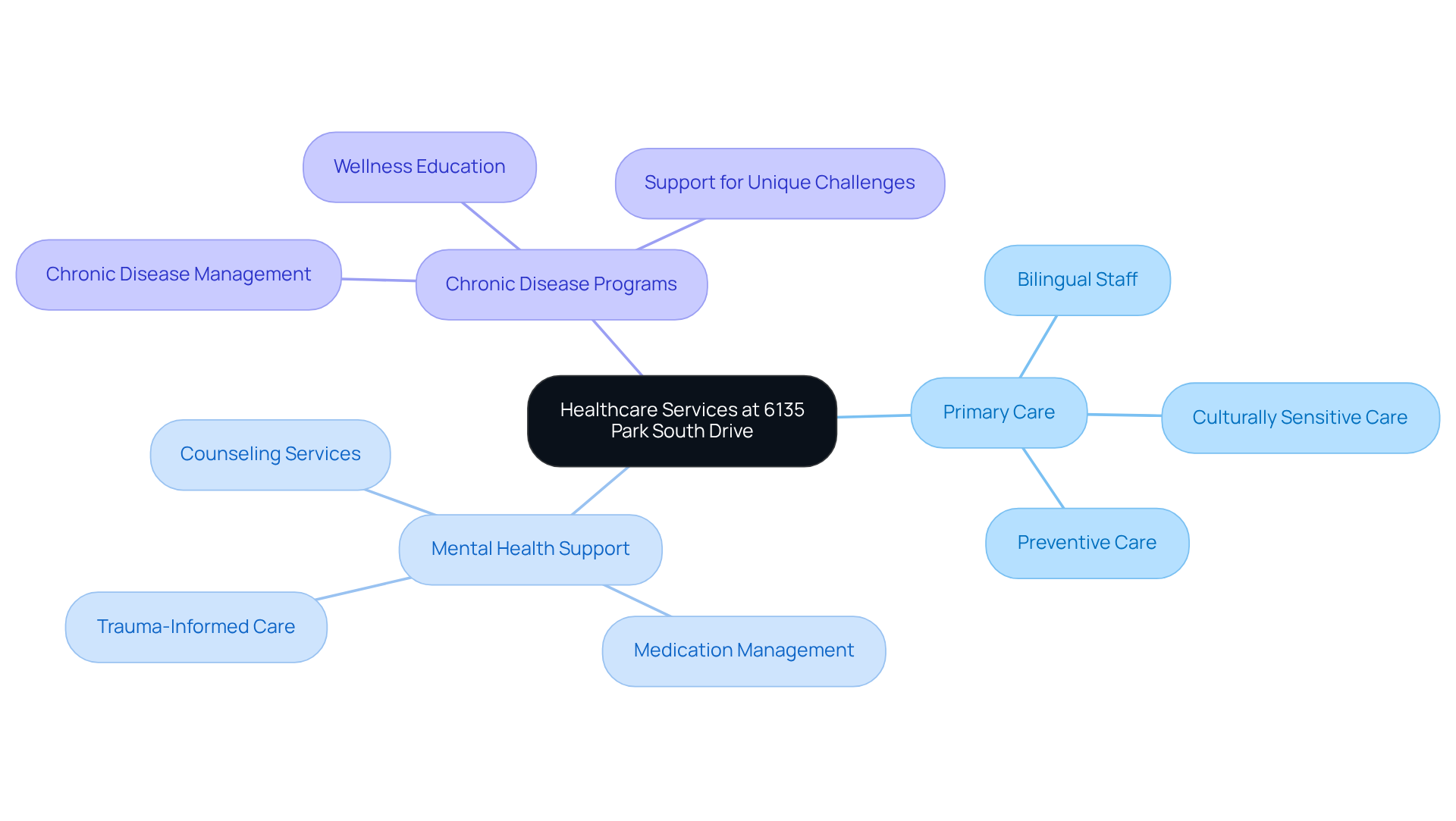 The center represents the main healthcare services available, with branches showing specific types of care and support. Each color-coded branch helps you see how these services are interconnected and tailored for immigrant communities.