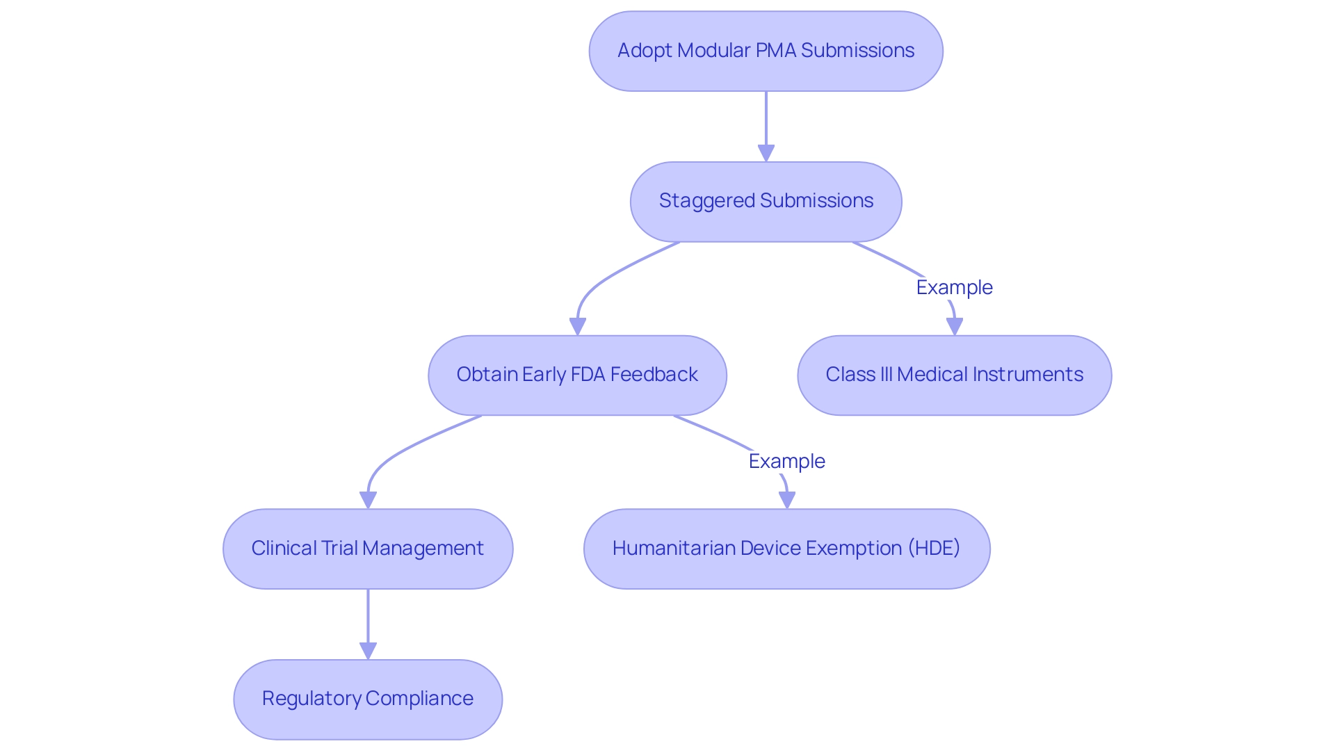 Each box represents a step in the modular PMA submission process, with arrows indicating the flow. Color codes differentiate between main steps, examples, and regulatory aspects.