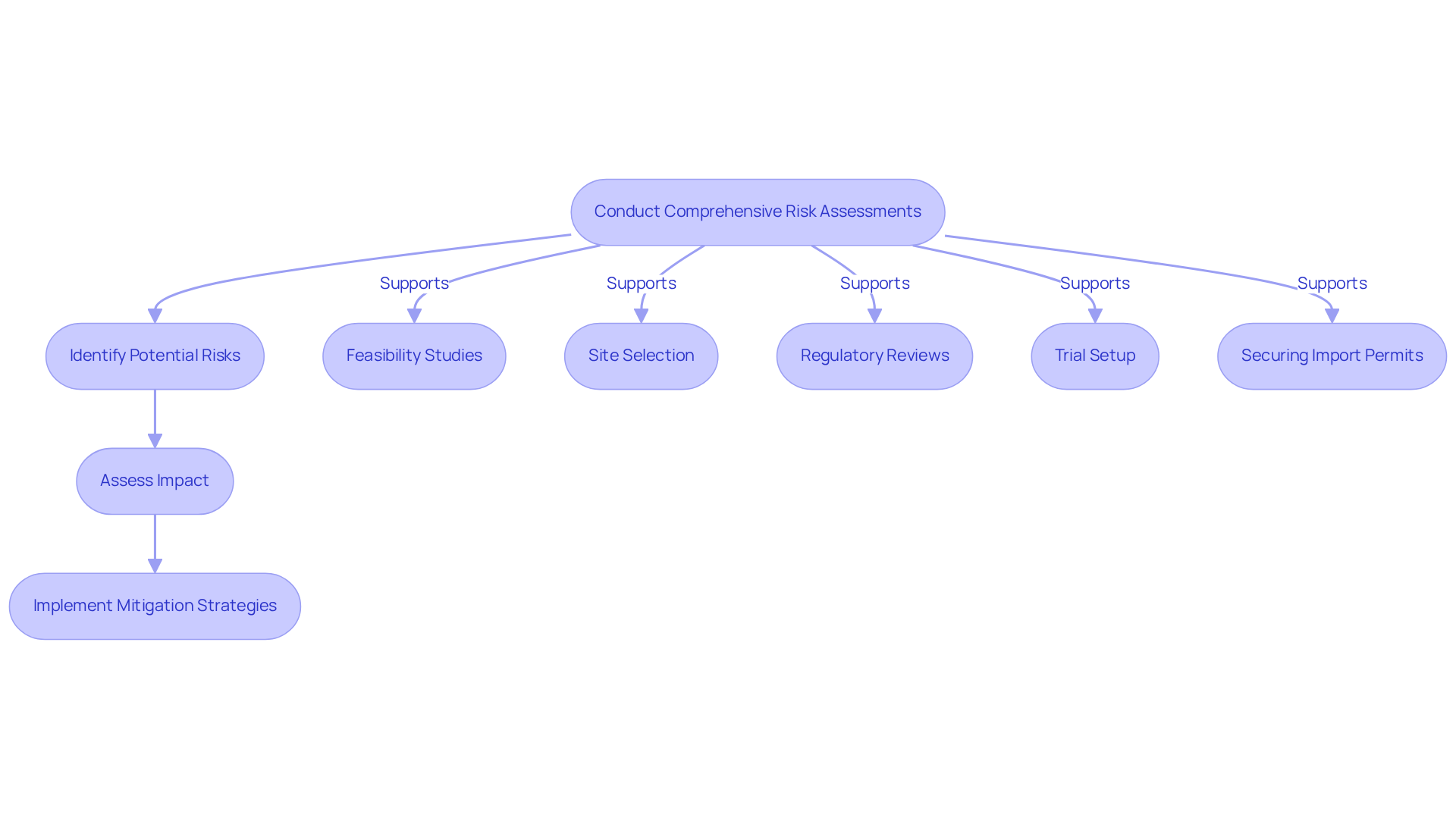 Follow the arrows to understand each step in the risk assessment process. The boxes represent key actions, while the branches show how specific services support these actions.