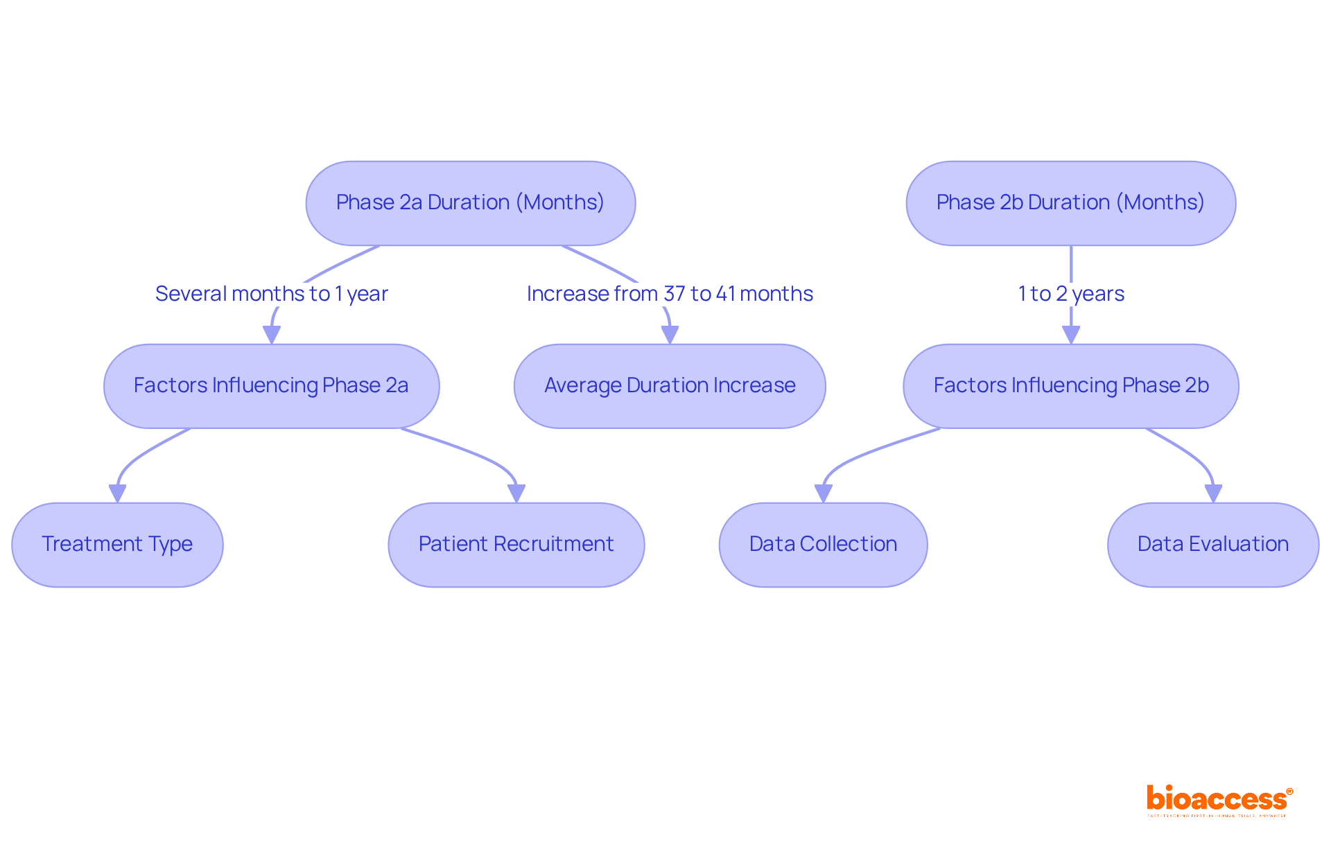 This flowchart outlines the timelines for Phase 2a and Phase 2b clinical trials. Each box represents the duration and factors influencing each phase. Follow the arrows to understand how each phase is structured and the impact of factors on trial durations.