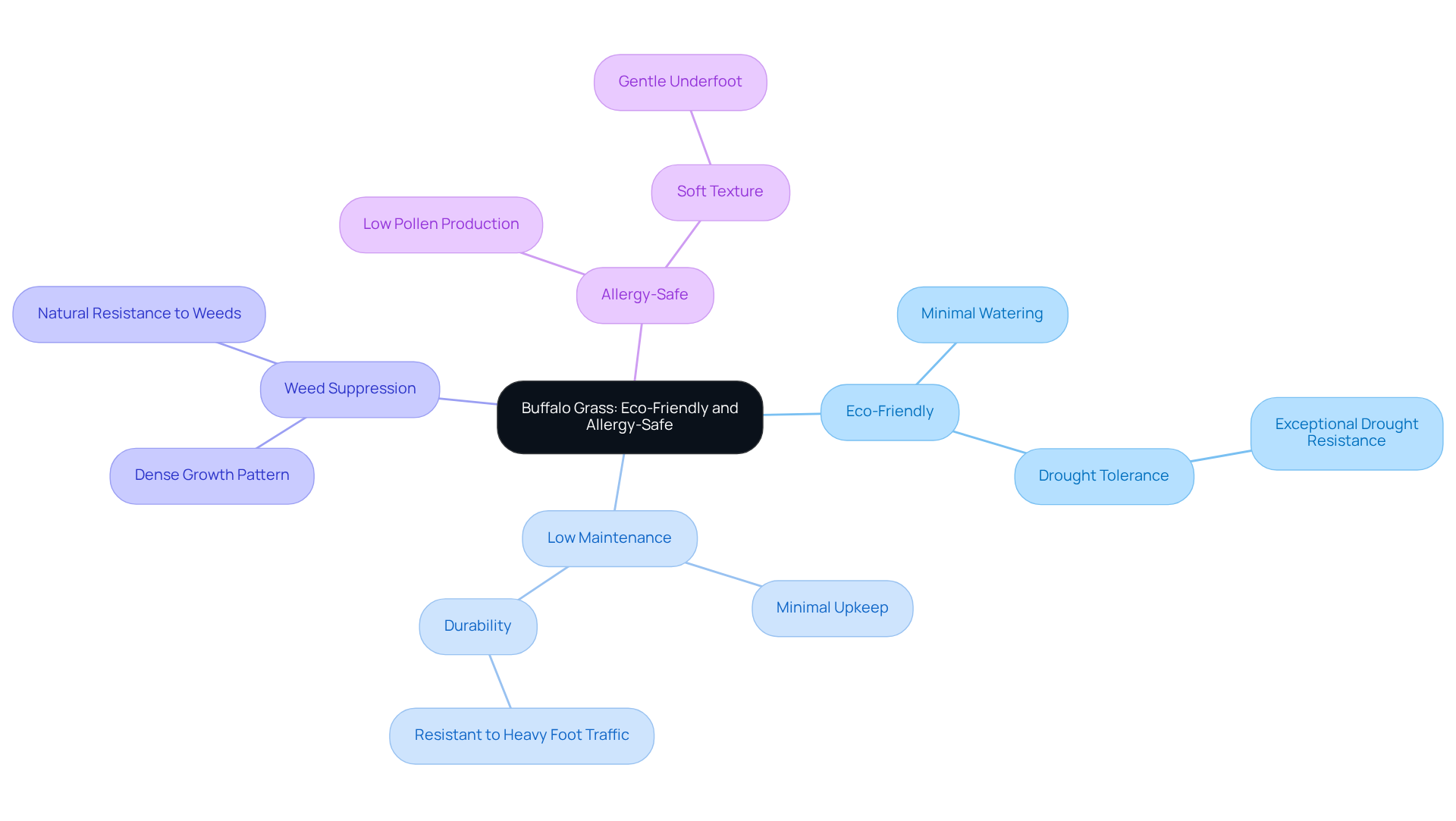 The central node represents Buffalo grass, while the branches show its various benefits. Each color-coded branch highlights a specific advantage, making it easy to understand how Buffalo grass supports eco-friendliness and pet safety.