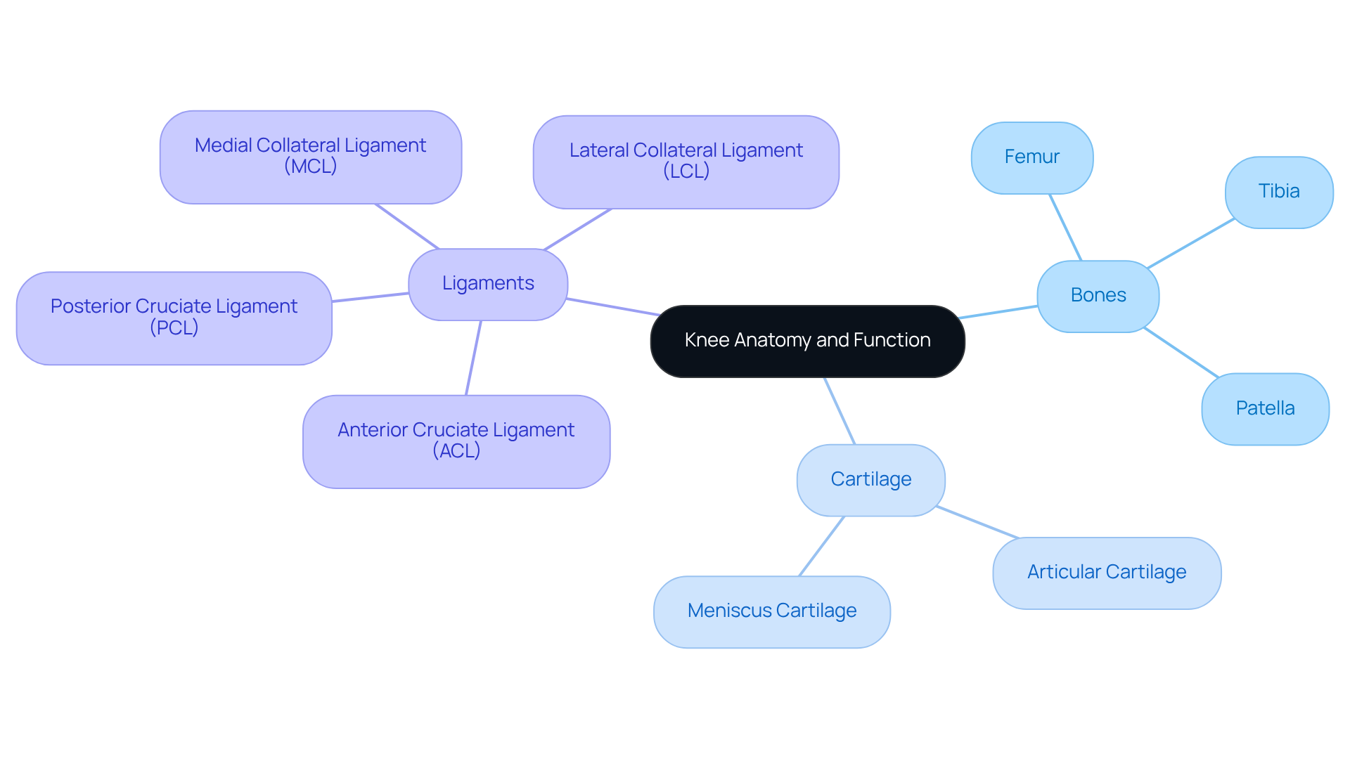 This mindmap illustrates the key components of the knee and their roles. Start at the center with 'Knee Anatomy and Function', then explore the branches to see how bones, cartilage, and ligaments work together to support movement and stability. Each branch represents a crucial part of the knee, helping you understand how they contribute to joint health. This mindmap illustrates the key components of the knee and their roles. Start at the center with 'Knee Anatomy and Function', then explore the branches to see how bones, cartilage, and ligaments work together to support movement and stability. Each branch represents a crucial part of the knee, helping you understand how they contribute to joint health.