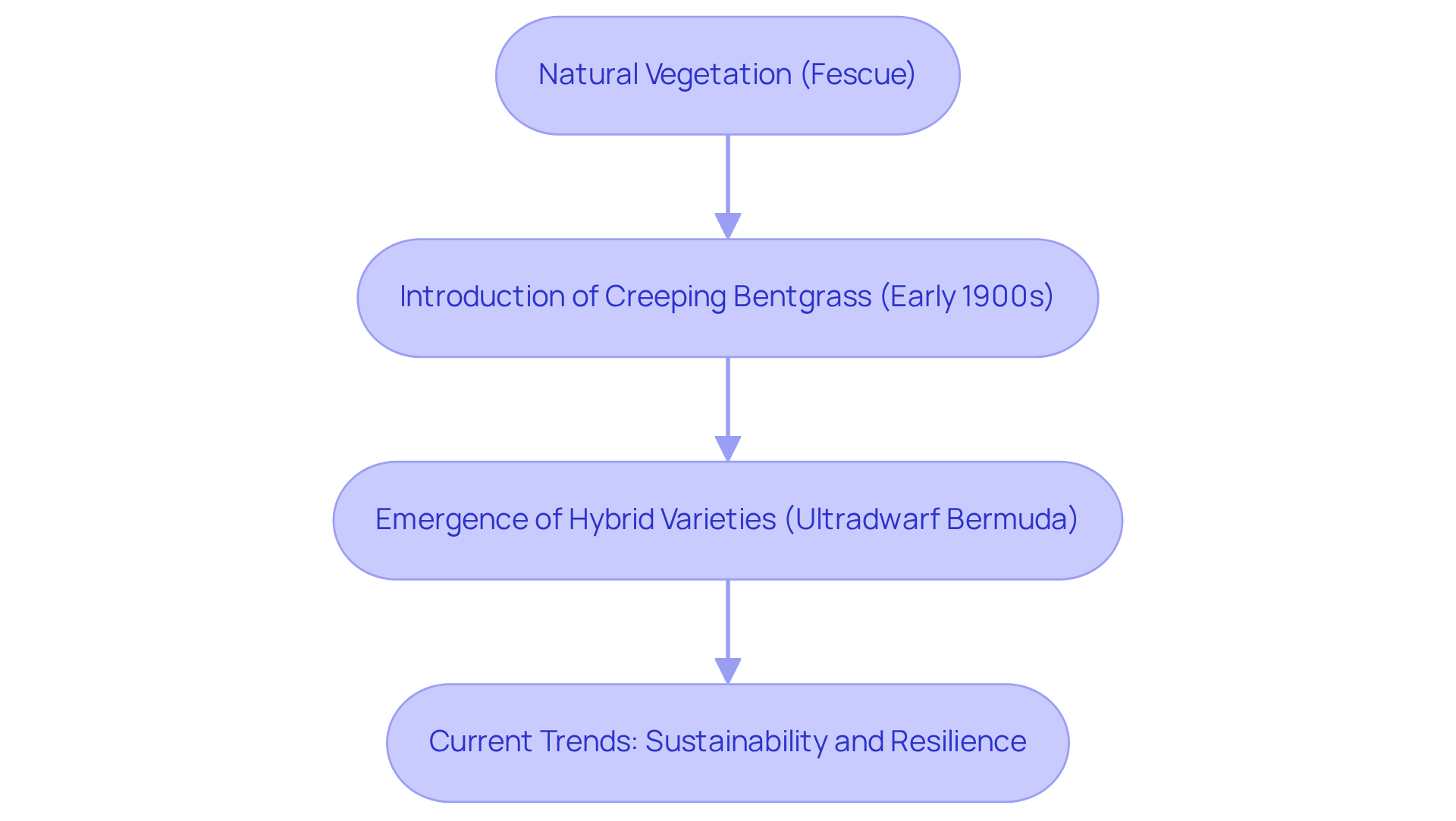 Follow the arrows to see how grass types have evolved over time, starting from natural fescue to modern hybrids, highlighting key developments in golf course turf management.