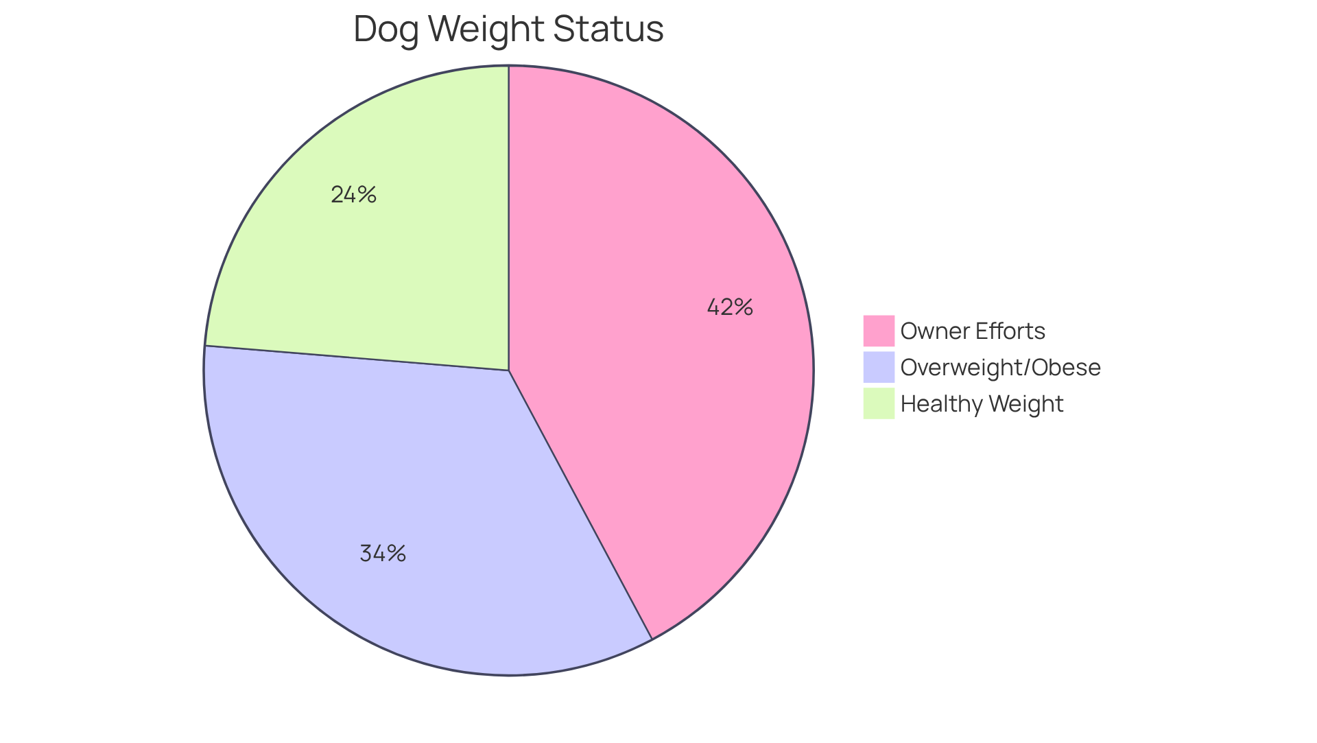 The chart shows the proportion of dogs that are overweight or obese compared to those at a healthy weight. The second part highlights how many dog owners are actively trying to help their pets lose weight. A larger slice means a bigger concern!