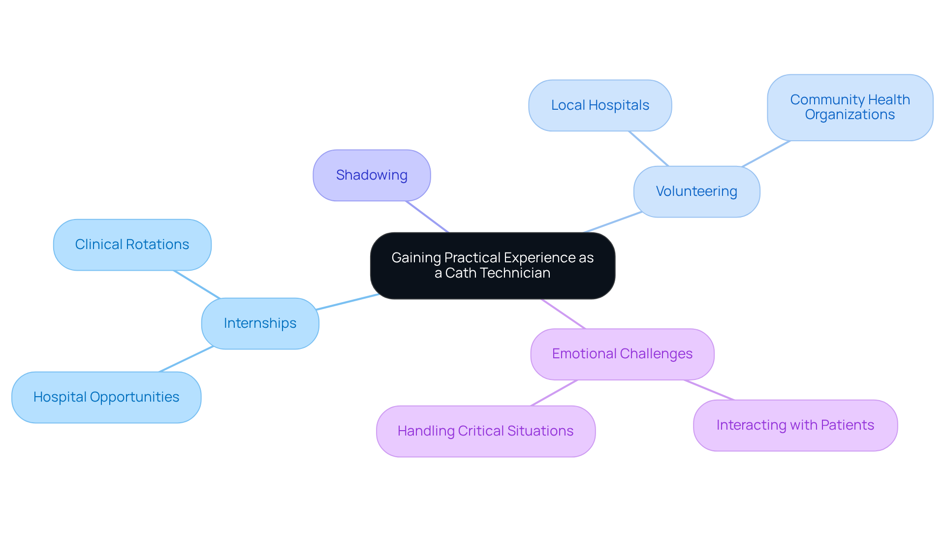 The center represents the main goal of gaining experience, with branches showing different ways to achieve it. Each branch highlights specific opportunities and considerations, helping you visualize your journey in this field.