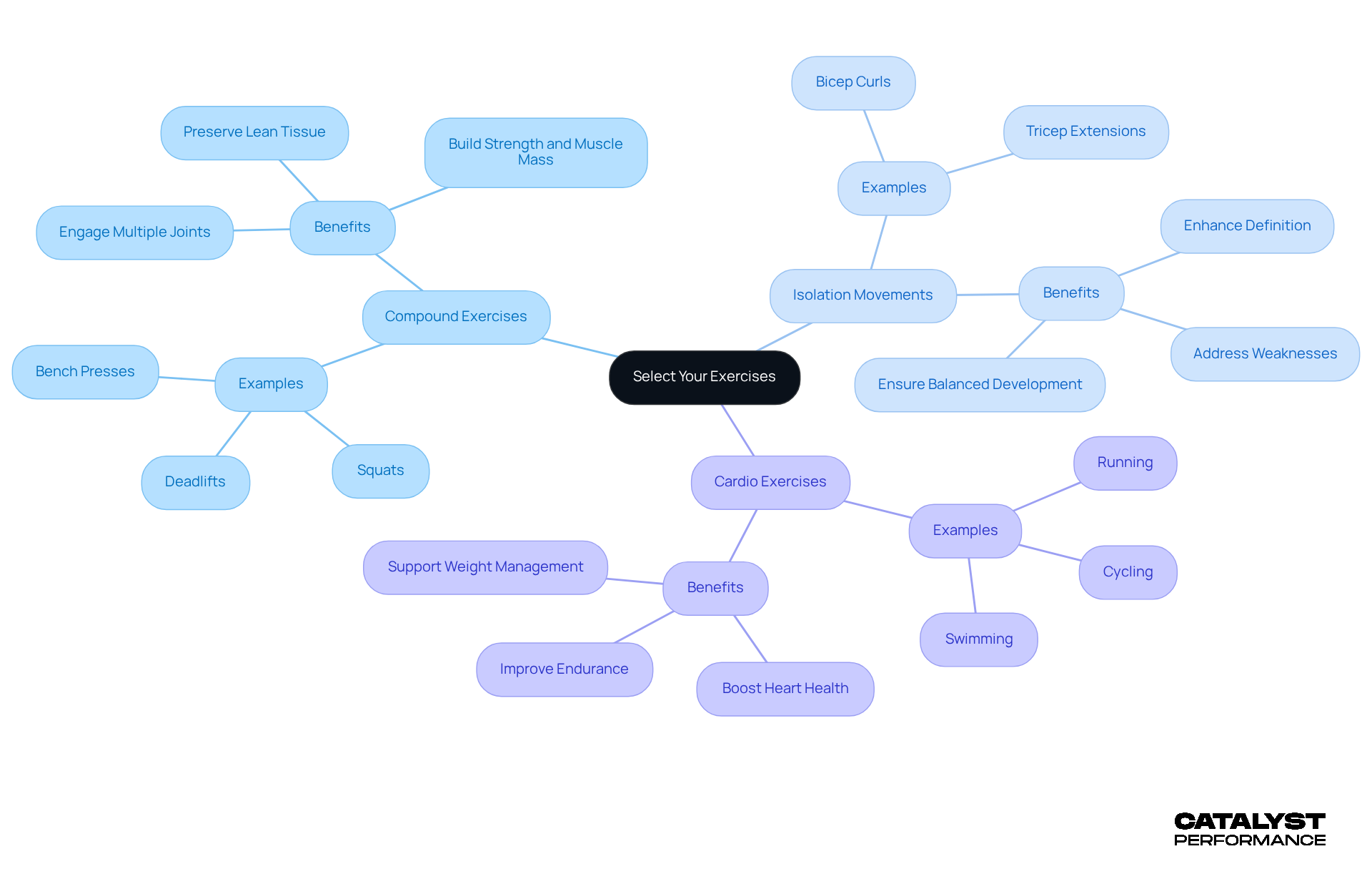 The center represents the main topic of exercise selection. Each branch shows a type of exercise, and the sub-branches explain why they are important and provide examples. This helps you see how to create a balanced workout routine. The center represents the main topic of exercise selection. Each branch shows a type of exercise, and the sub-branches explain why they are important and provide examples. This helps you see how to create a balanced workout routine.