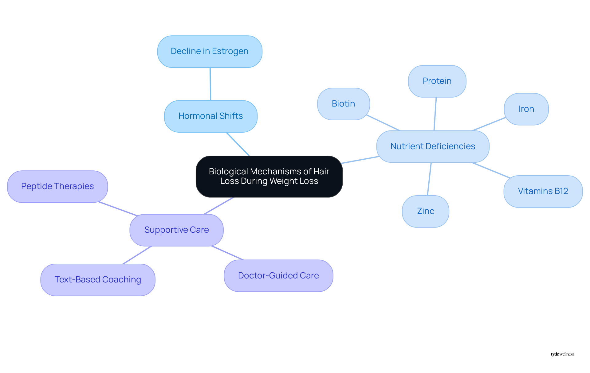 The central node represents the main topic, while each branch covers related factors. Follow the lines to see how hormonal changes, nutrient deficiencies, and support systems connect to hair loss during weight reduction.