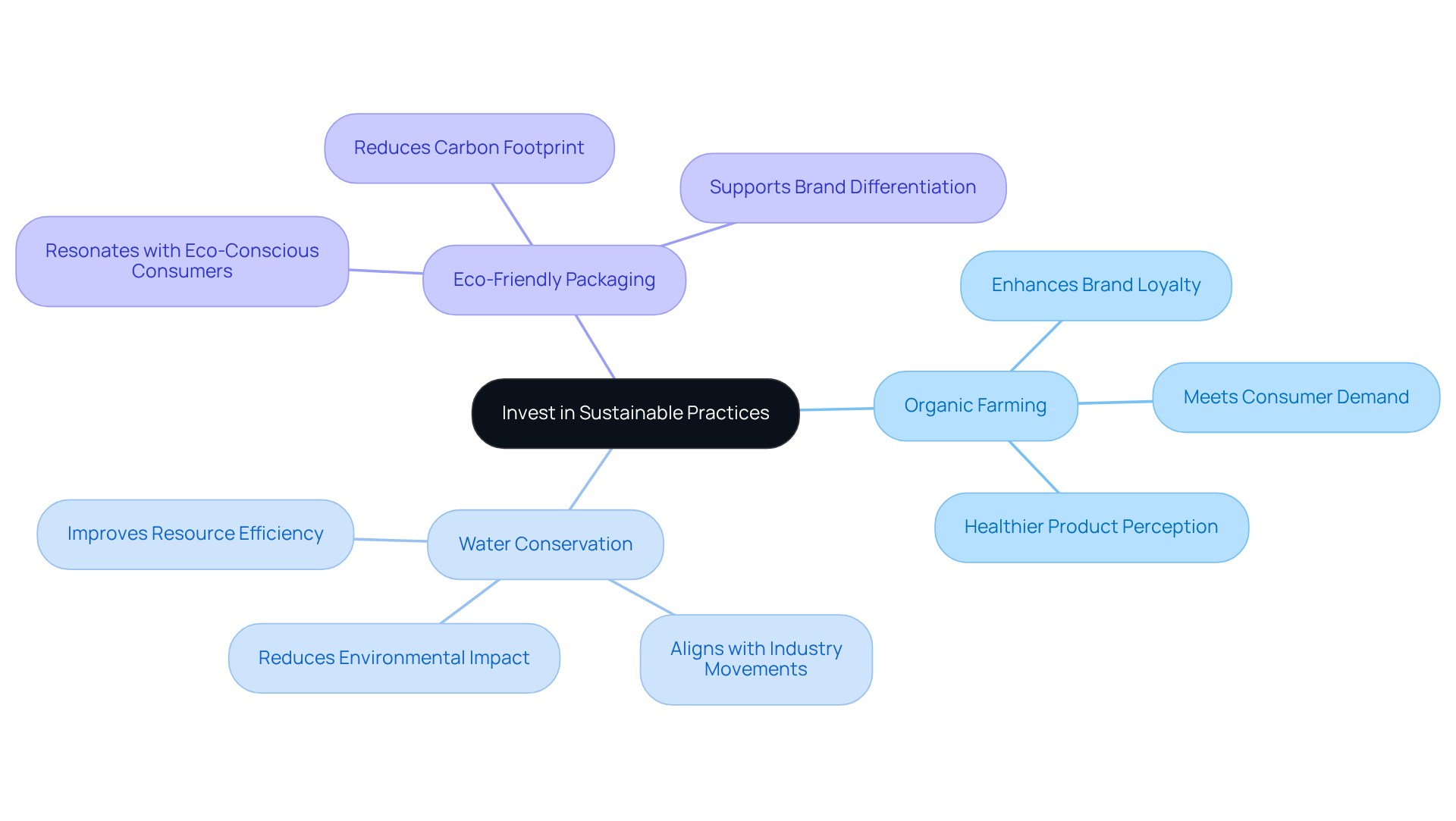 The central idea is about investing in sustainability, with branches showing specific practices and their advantages. Each color represents a different practice, creating a visual map to understand how they connect to consumer preferences.